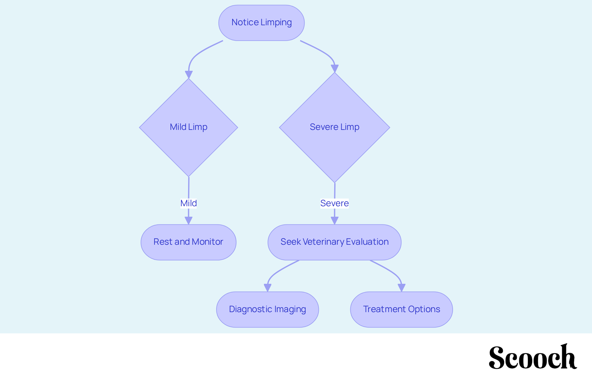Understanding Dog Limping on the Front Leg: Causes and Solutions