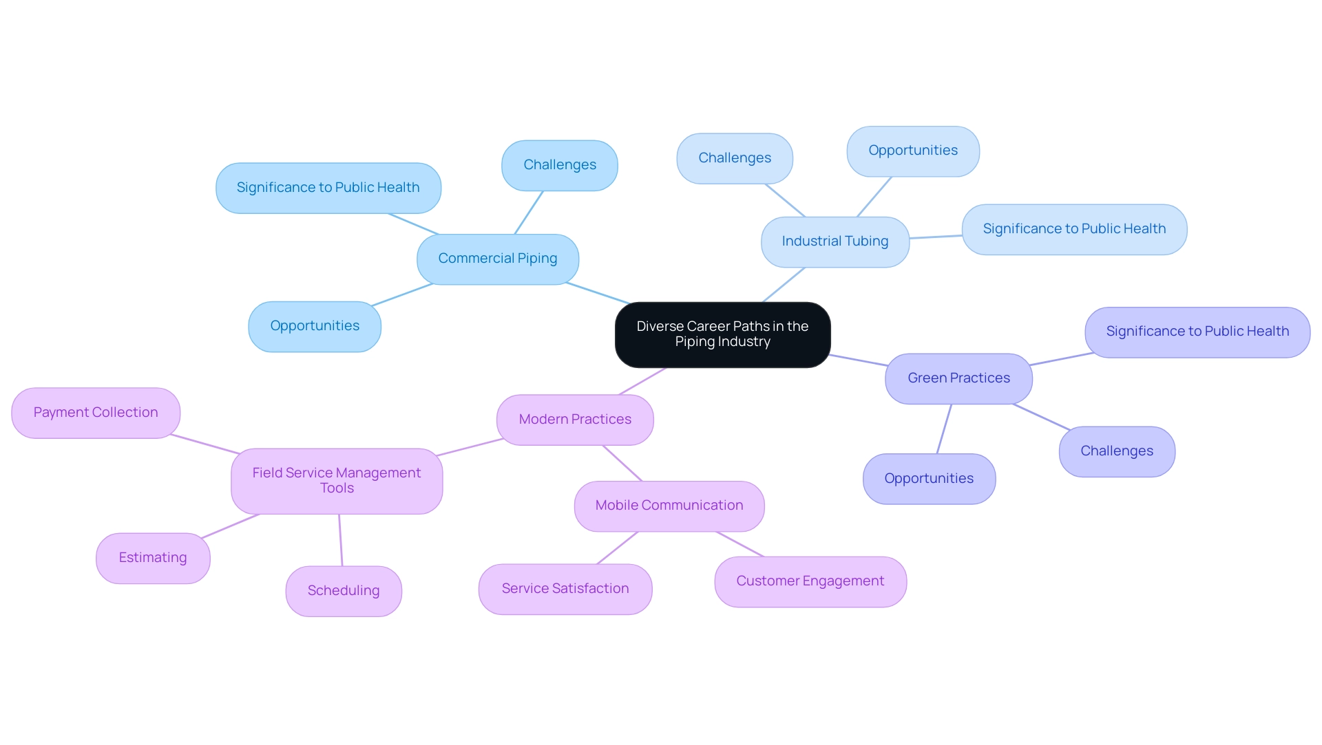 The central node represents the overarching theme of career diversity, with branches illustrating specific paths and their significance. Colors differentiate each main career path.