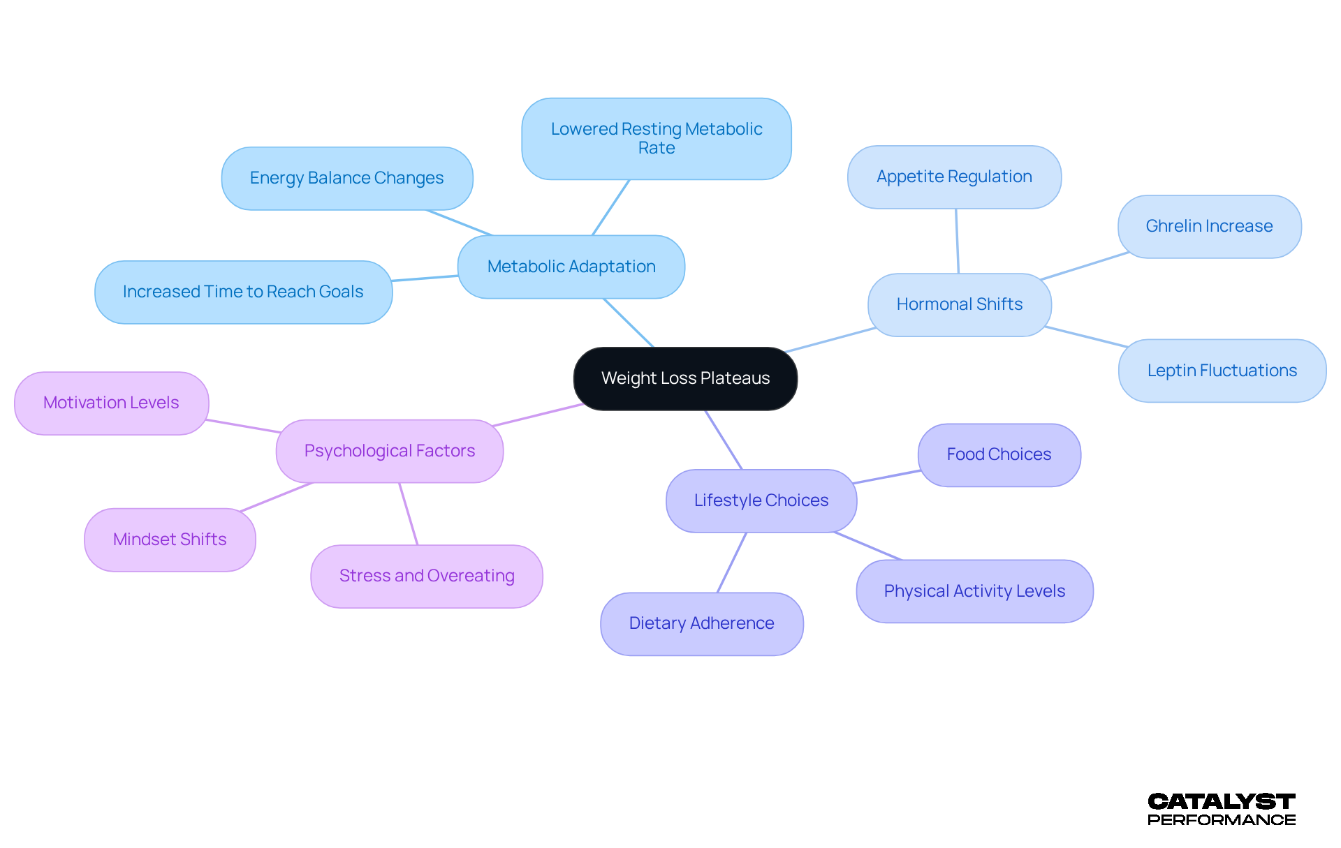 The central node represents the main topic of weight loss plateaus, while the branches show the key factors that contribute to this phenomenon. Each color-coded branch helps you see how different elements are interconnected, making it easier to understand the complexities of weight loss. The central node represents the main topic of weight loss plateaus, while the branches show the key factors that contribute to this phenomenon. Each color-coded branch helps you see how different elements are interconnected, making it easier to understand the complexities of weight loss.