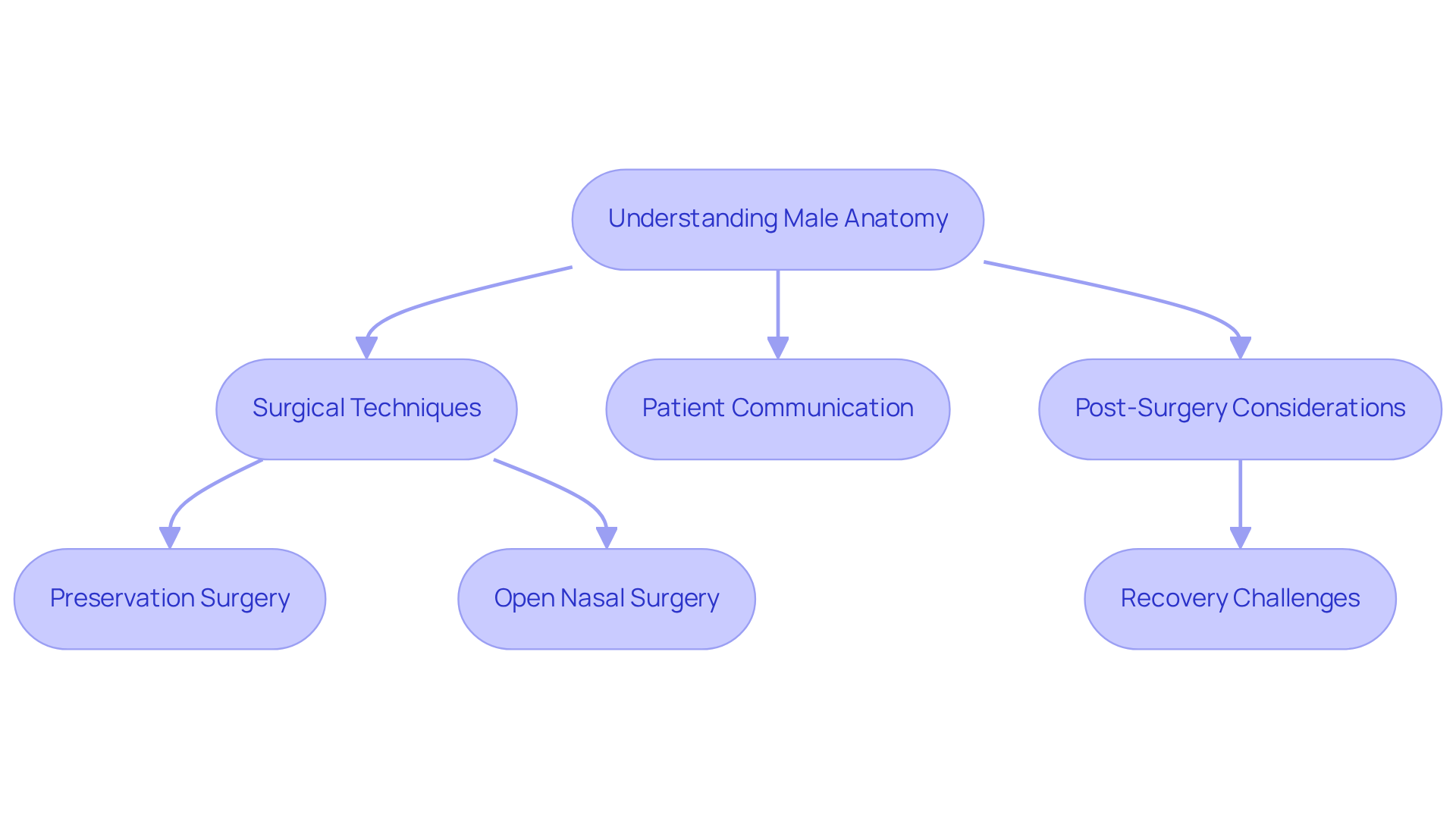 This flowchart illustrates the key steps and considerations in male rhinoplasty. Start at the top with understanding anatomy, then follow the arrows to see how surgical techniques and patient communication play a role, leading to important post-surgery considerations. This flowchart illustrates the key steps and considerations in male rhinoplasty. Start at the top with understanding anatomy, then follow the arrows to see how surgical techniques and patient communication play a role, leading to important post-surgery considerations.