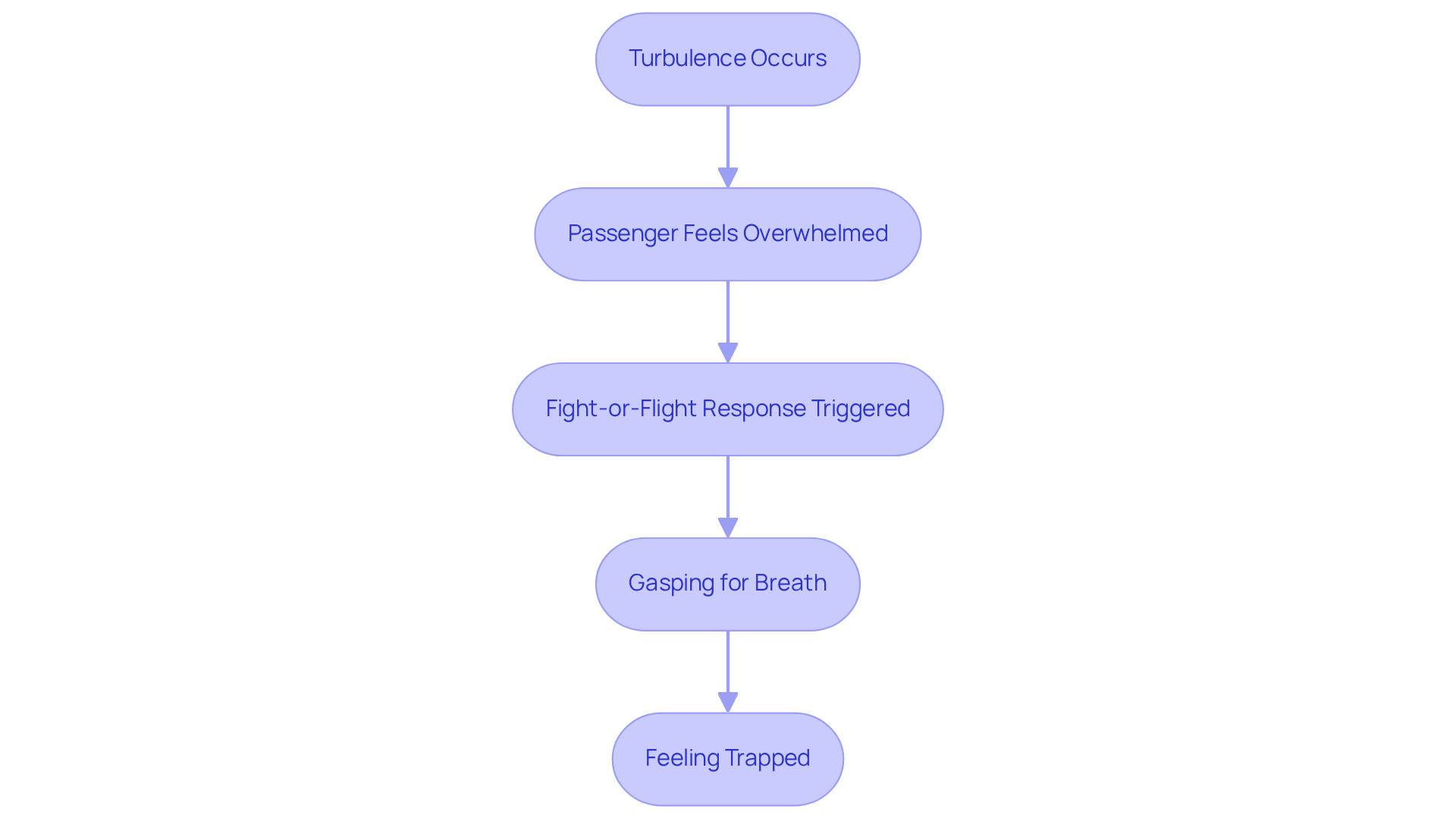 Follow the arrows to see how the turbulence leads to various emotional and physical reactions. Each box represents a step in the passenger's experience, showing how one event can escalate into a profound challenge.