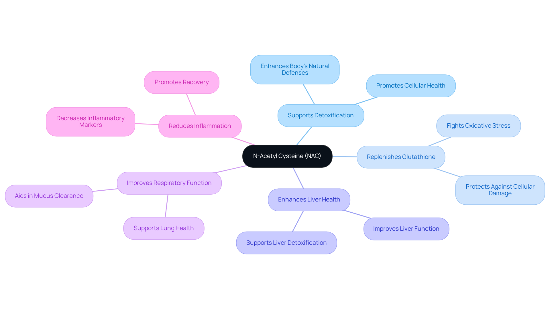 The central node represents NAC, and each branch shows a different benefit. The sub-branches provide more details about how NAC supports your health. The more branches you see, the more ways NAC can help you feel better and more energetic!