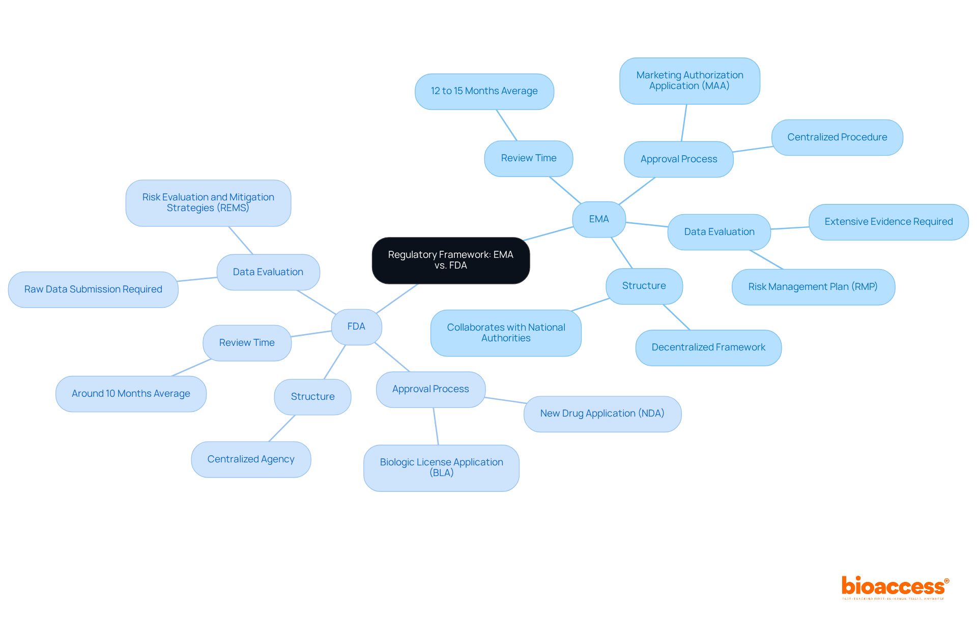 The center represents the main topic of regulatory frameworks. Each branch details specific aspects of either the EMA or the FDA, helping you understand their distinct processes and how they affect drug approvals.