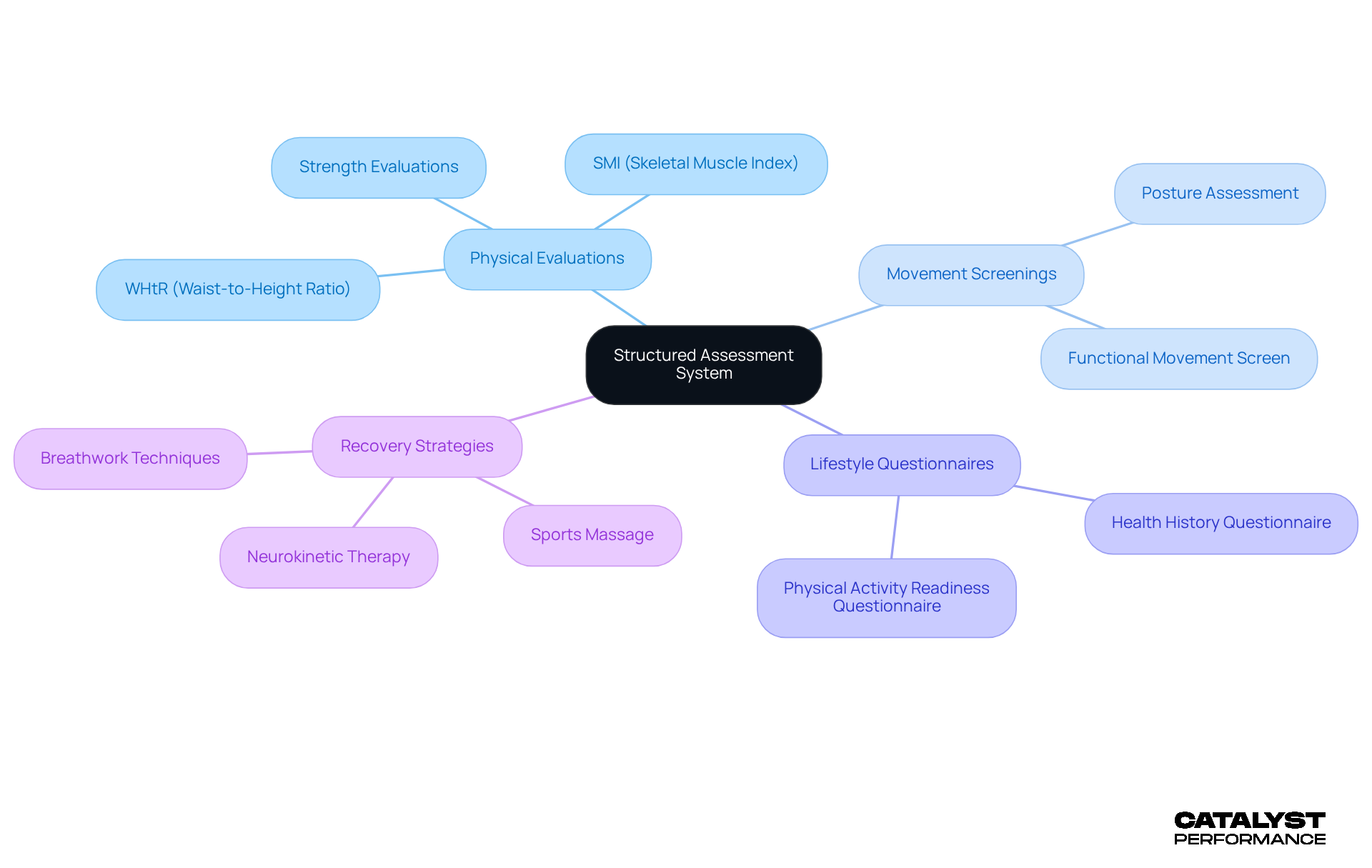 Start at the center with the main assessment system, then explore each branch to see the key components and how they work together to support your health and fitness journey.