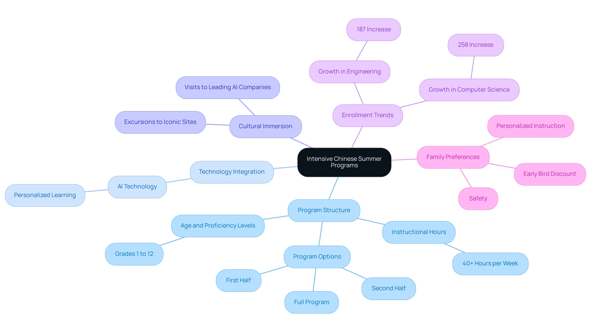 Each branch represents a different aspect of the intensive Chinese summer program, with colors distinguishing the categories such as structure, technology, culture, trends, and family needs.