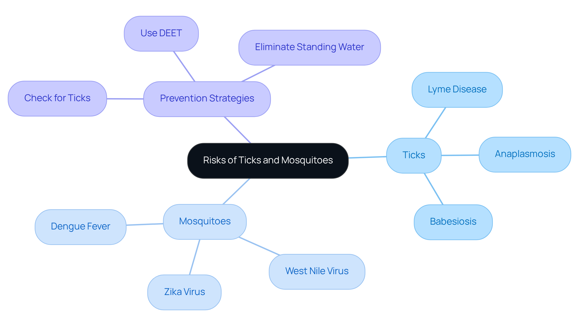 The central node represents the overall topic, while the branches show specific risks and prevention methods. Each color-coded branch helps you quickly identify related information.