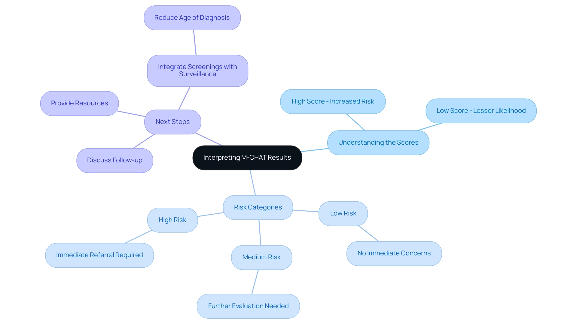 The central node represents the overall theme; branches indicate understanding scores, risk categories, and next steps with color coding for each main topic.