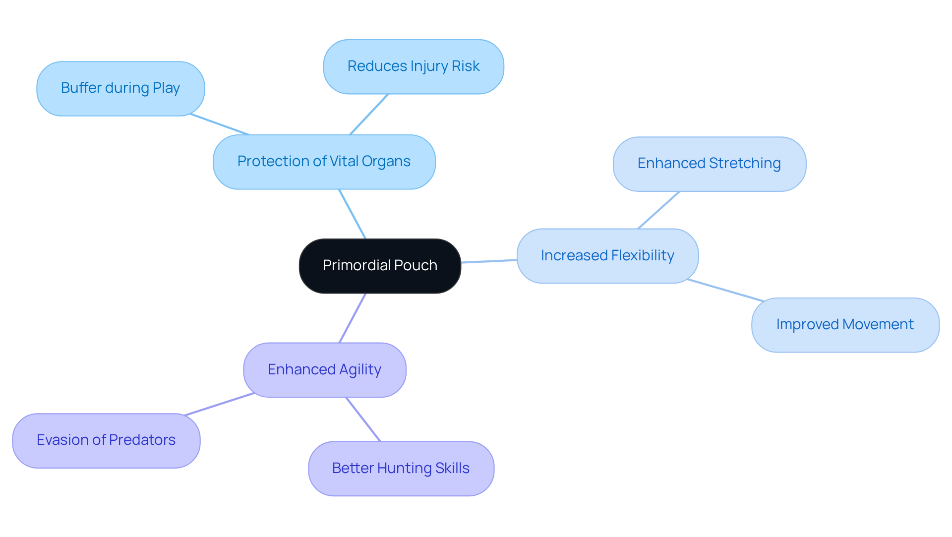 The central node represents the primordial pouch, while the branches illustrate its key functions and how they help cats survive and thrive in their environment. The central node represents the primordial pouch, while the branches illustrate its key functions and how they help cats survive and thrive in their environment.