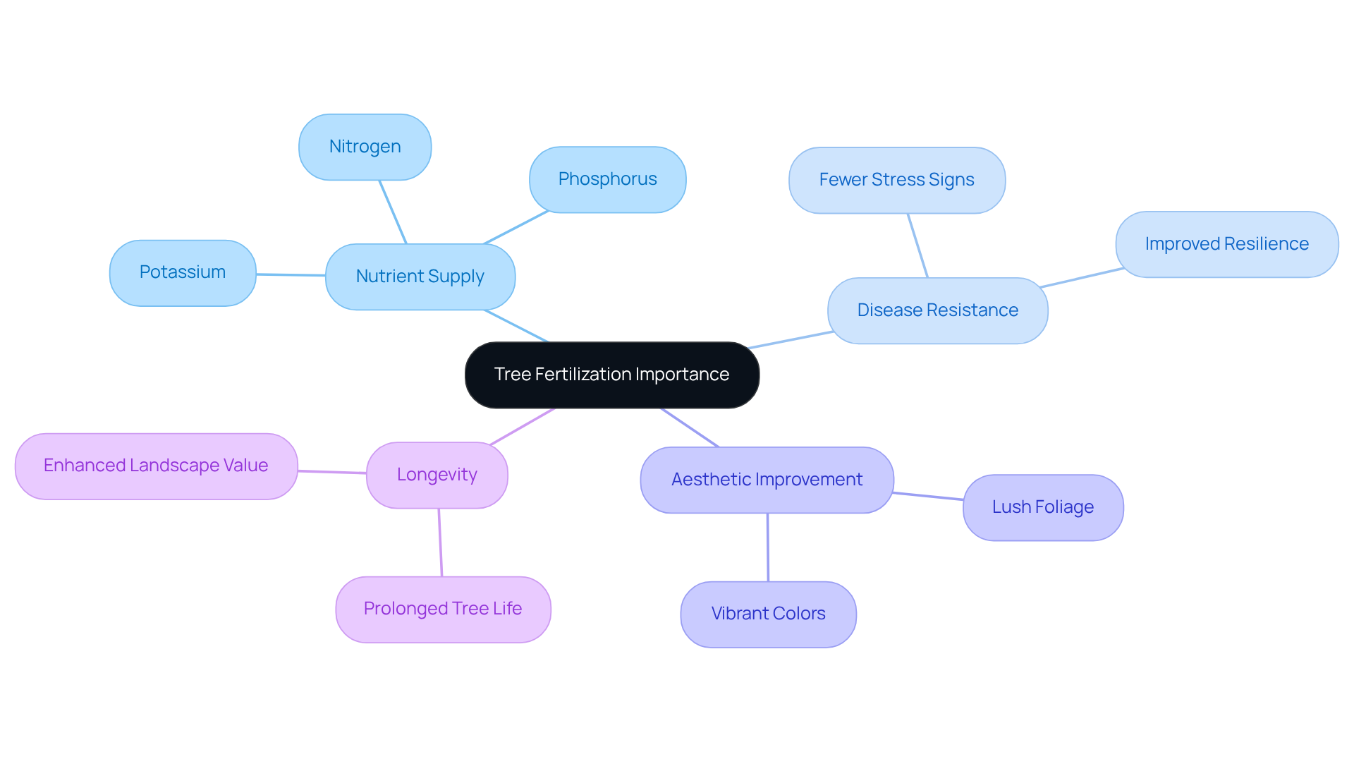 The central node represents the main topic of tree fertilization. Each branch shows a key benefit, and the sub-branches provide more details about how fertilization impacts tree health and beauty.