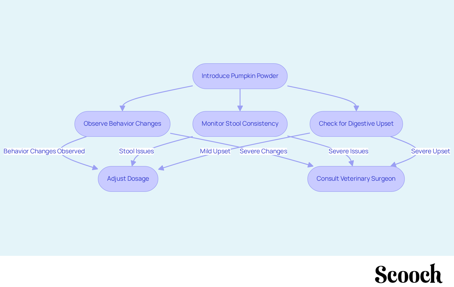 Follow the arrows to see what steps to take after introducing pumpkin powder. Each box represents an action you should consider based on your dog's response. Follow the arrows to see what steps to take after introducing pumpkin powder. Each box represents an action you should consider based on your dog's response.