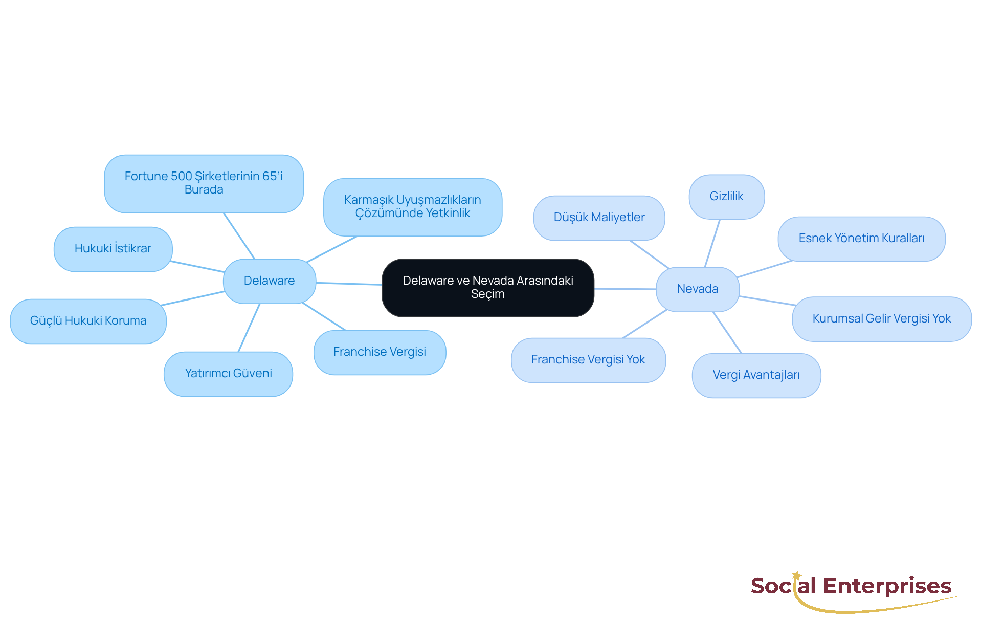 Mindmap, Delaware ve Nevada'nın sunduğu olanakları karşılaştırmanızı sağlar. Her dal, bir eyaletin avantajlarını temsil eder; bu sayede hangi eyaletin sizin iş modelinize daha uygun olduğunu kolayca değerlendirebilirsiniz.