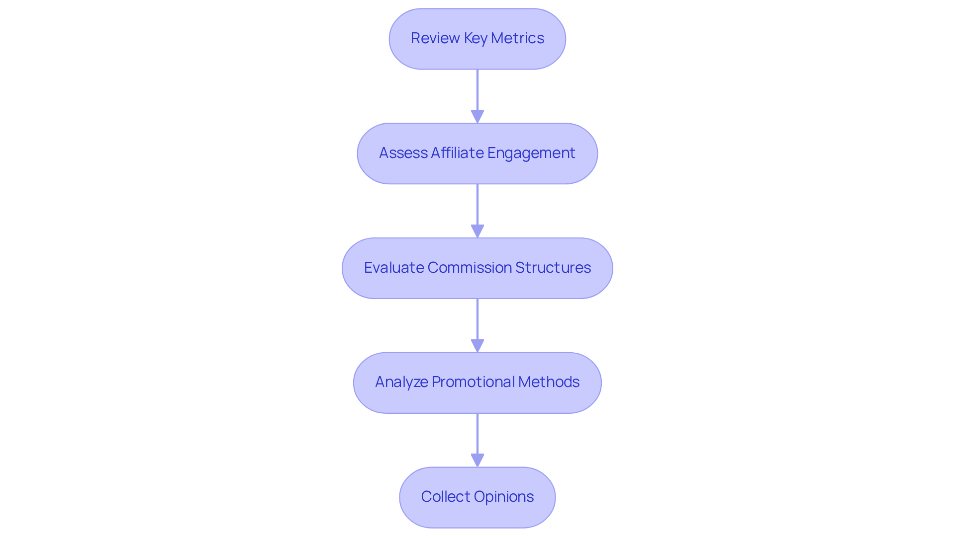 Each box in the flowchart represents a step in the audit process. Follow the arrows to see how each step leads to the next, helping you understand how to optimize affiliate performance effectively.