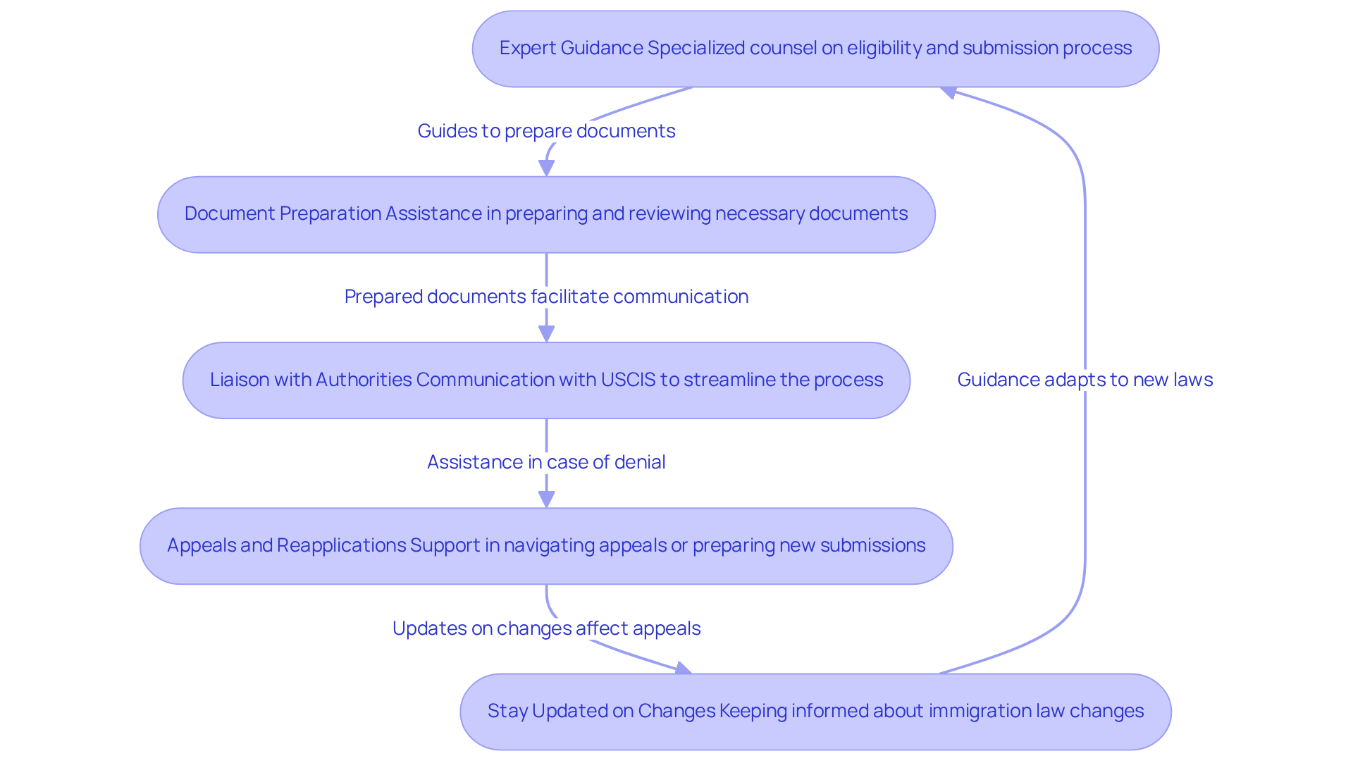 Each box represents a service that immigration lawyers provide to help you with your H-1A visa application. Follow the arrows to see how these services connect and support you through the process.