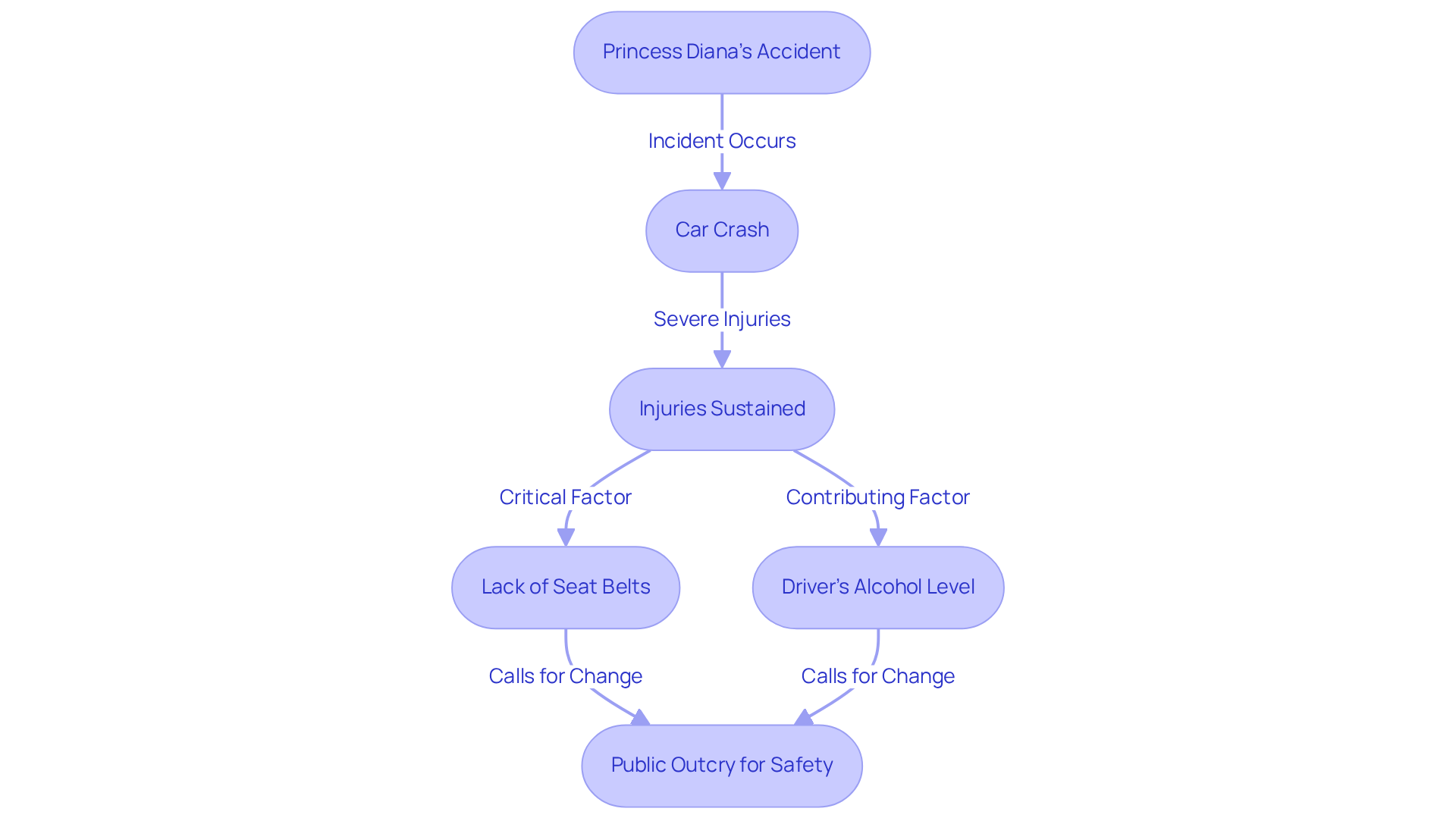 This flowchart illustrates the sequence of events surrounding Princess Diana's tragic accident. Each box represents a significant point in the timeline, showing how the accident led to injuries, public awareness, and calls for improved safety measures.