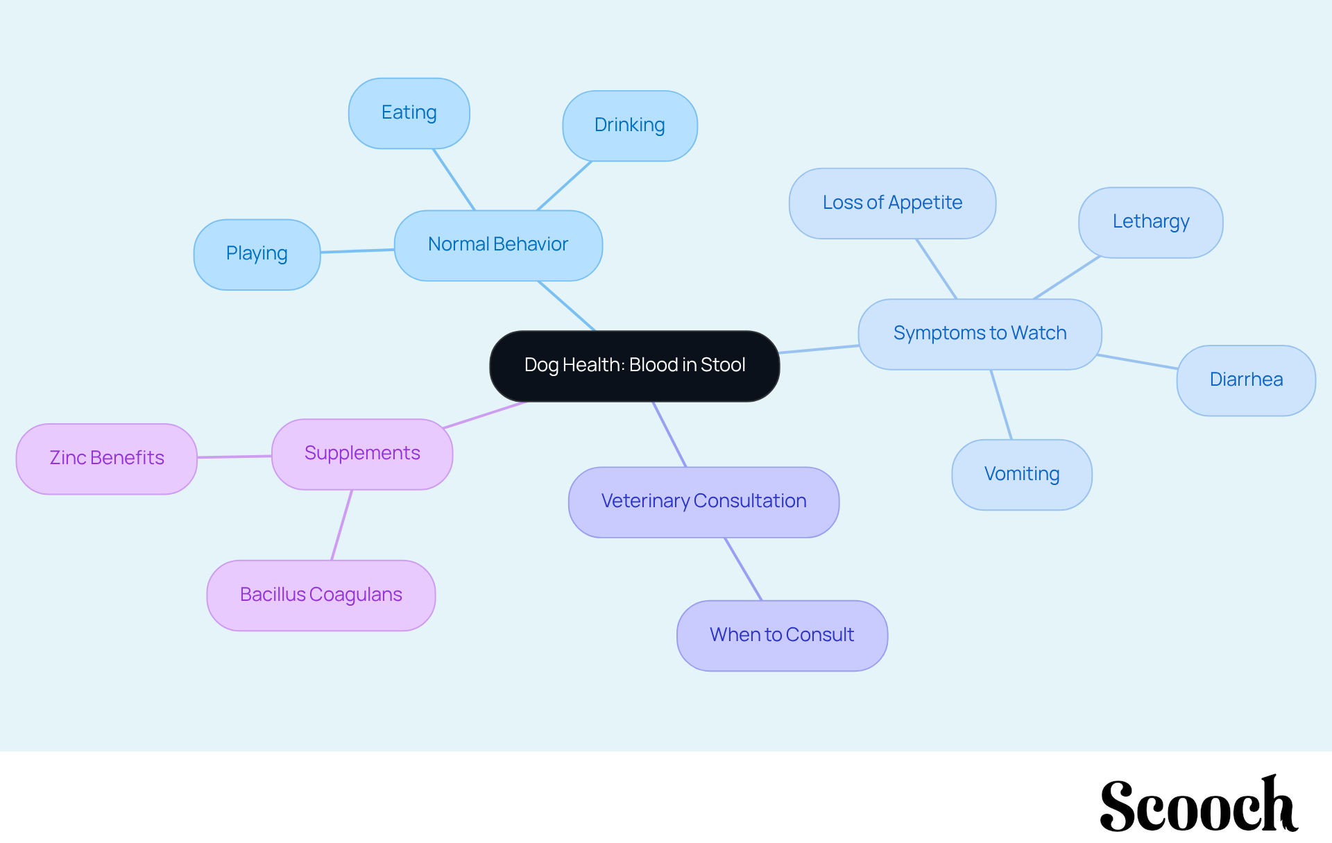This mindmap helps you navigate your dog's health concerns. Start at the center with the main topic, then explore branches for normal behaviors, symptoms to keep an eye on, when to consult a vet, and helpful supplements. This mindmap helps you navigate your dog's health concerns. Start at the center with the main topic, then explore branches for normal behaviors, symptoms to keep an eye on, when to consult a vet, and helpful supplements.