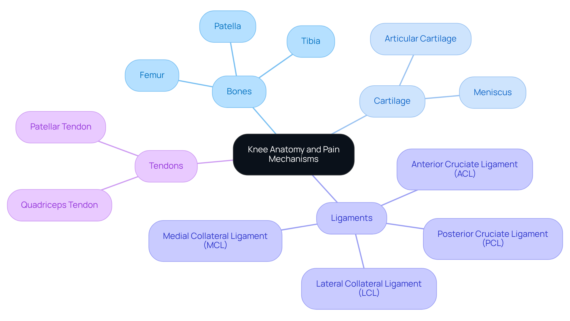 This mindmap illustrates the key components of the knee and their roles. Each branch represents a different part of the knee, showing how they work together to support movement and stability. Explore each section to understand how injuries or conditions can lead to pain. This mindmap illustrates the key components of the knee and their roles. Each branch represents a different part of the knee, showing how they work together to support movement and stability. Explore each section to understand how injuries or conditions can lead to pain.