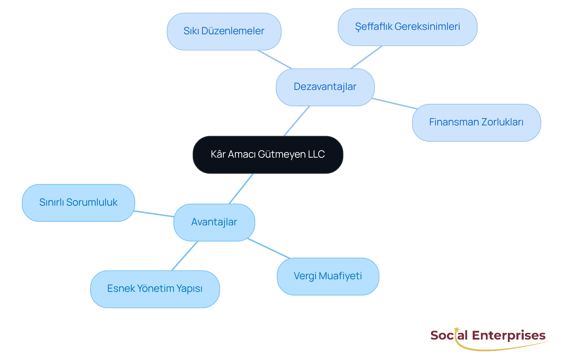 Merkezde kâr amacı gütmeyen LLC'nin genel konusunu göreceksiniz. Dallar, avantajları ve dezavantajları gösteriyor. Her bir alt başlık, ilgili avantaj veya dezavantajı temsil ediyor.