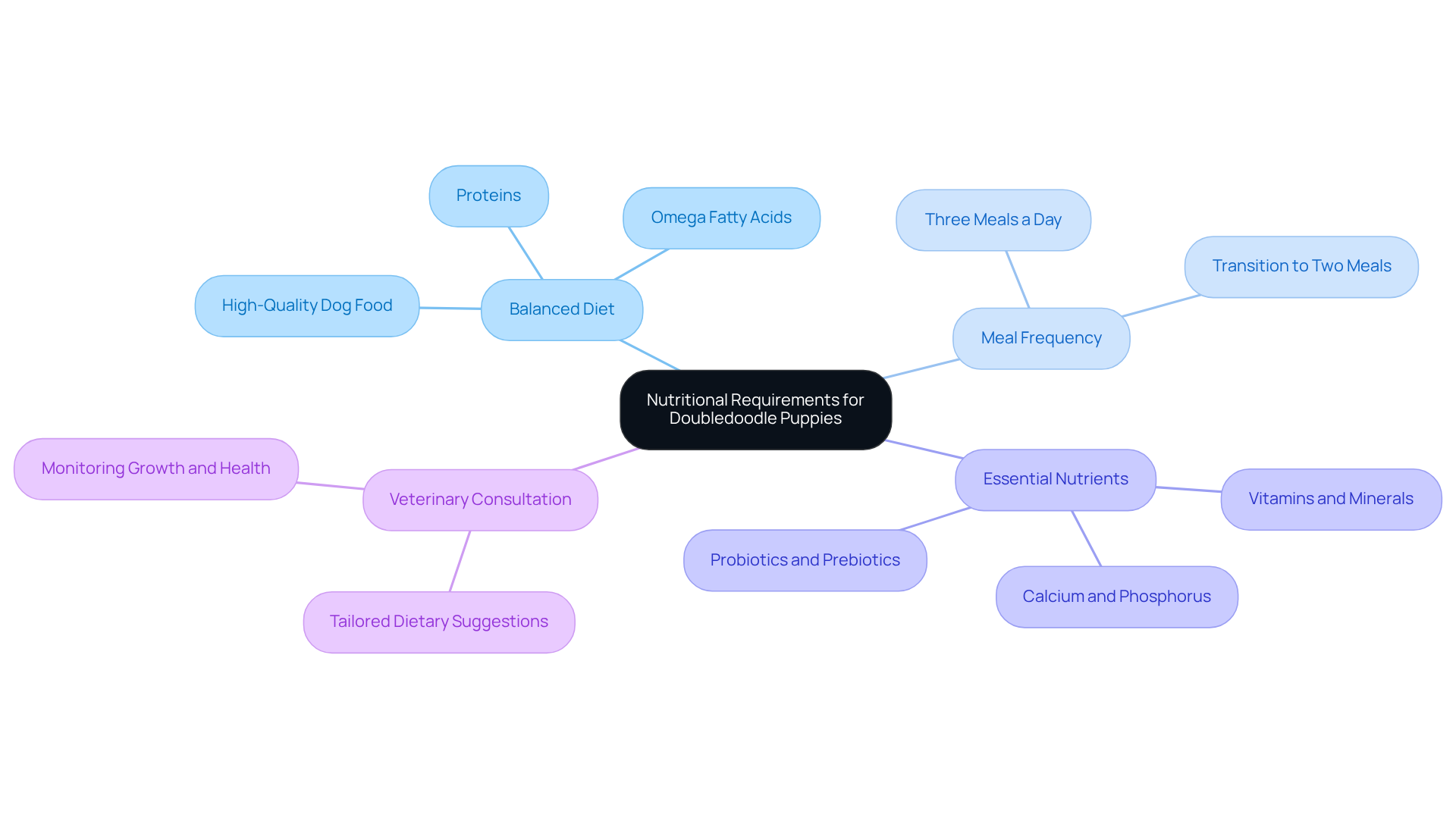 The central node represents the overall nutritional needs, while branches show specific areas of focus. Each color-coded branch helps you understand the different components of a healthy diet for your puppy.