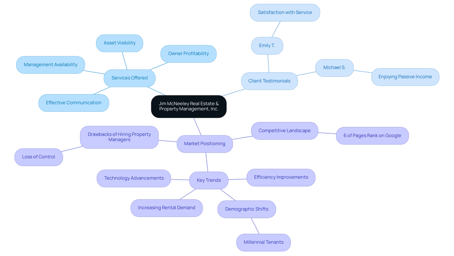 The central node represents the company, with branches showing services, testimonials, and market positioning. Each color corresponds to a different category of information.