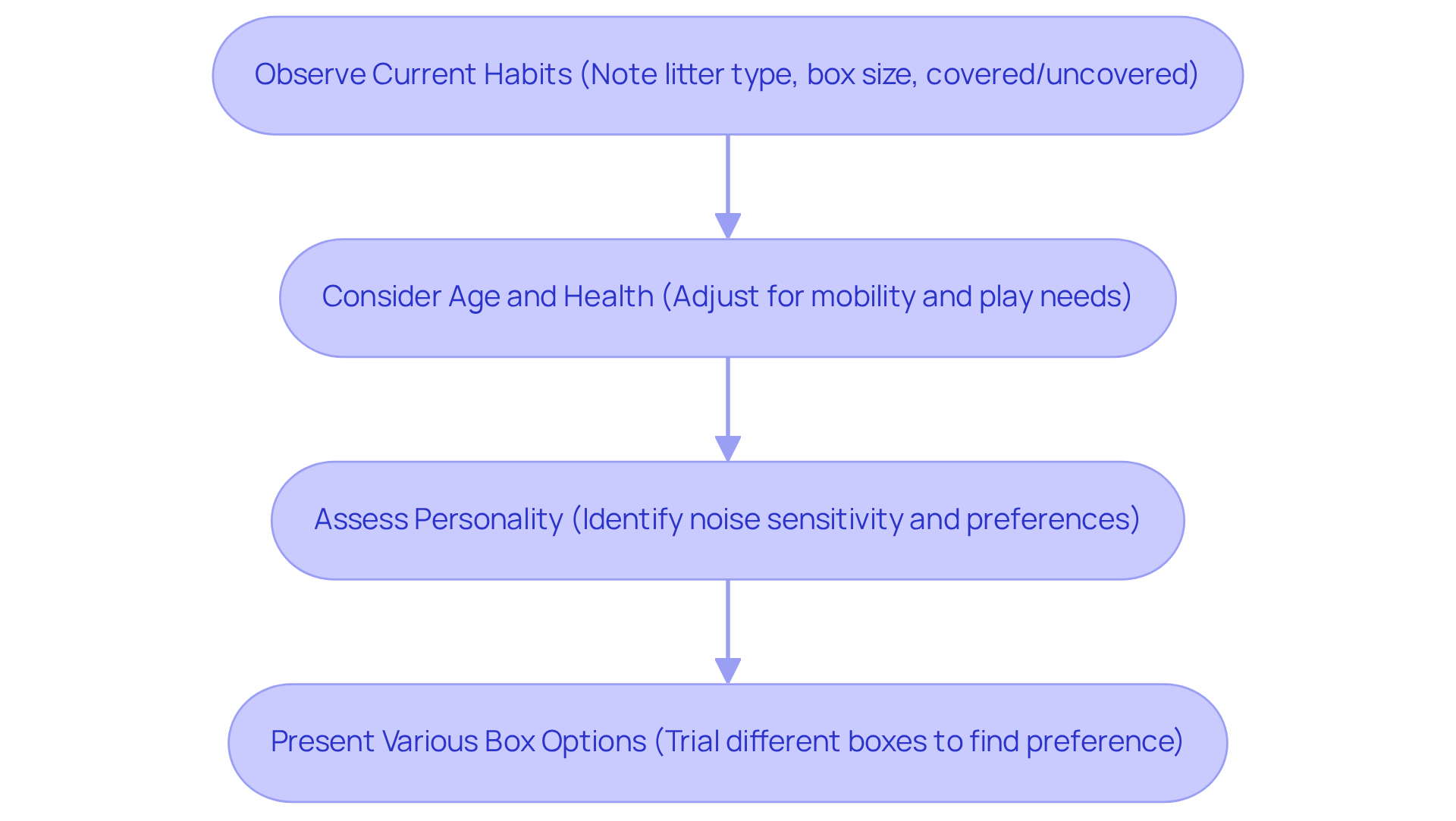 Follow the arrows to see how to assess your cat's needs step by step. Each box contains a key action to take, helping you create a cozy and suitable environment for your furry friend. Follow the arrows to see how to assess your cat's needs step by step. Each box contains a key action to take, helping you create a cozy and suitable environment for your furry friend.