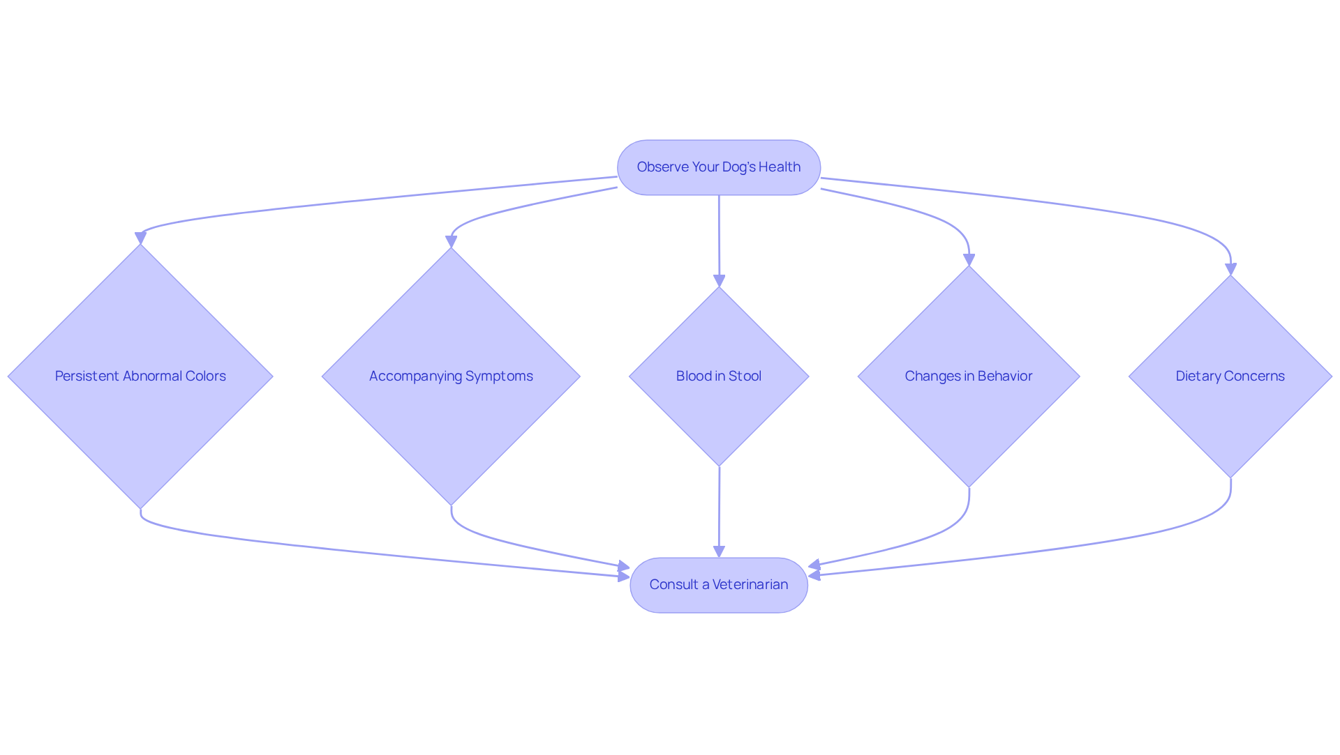 Follow the signs to determine the need for a vet visit — each symptom points you to the important action of consulting a professional.