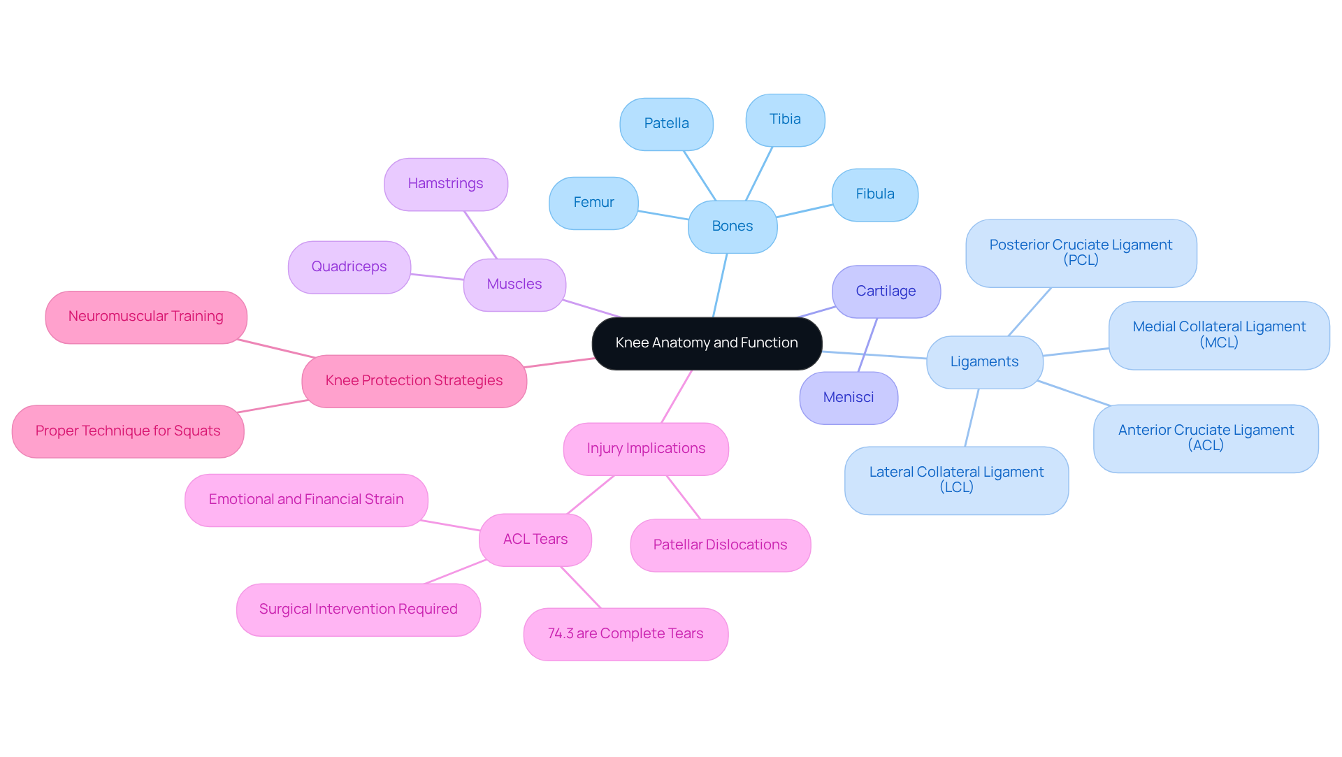 Start at the center with the main topic, then follow the branches to explore each part of the knee, its function, and how injuries can affect your mobility and health.
