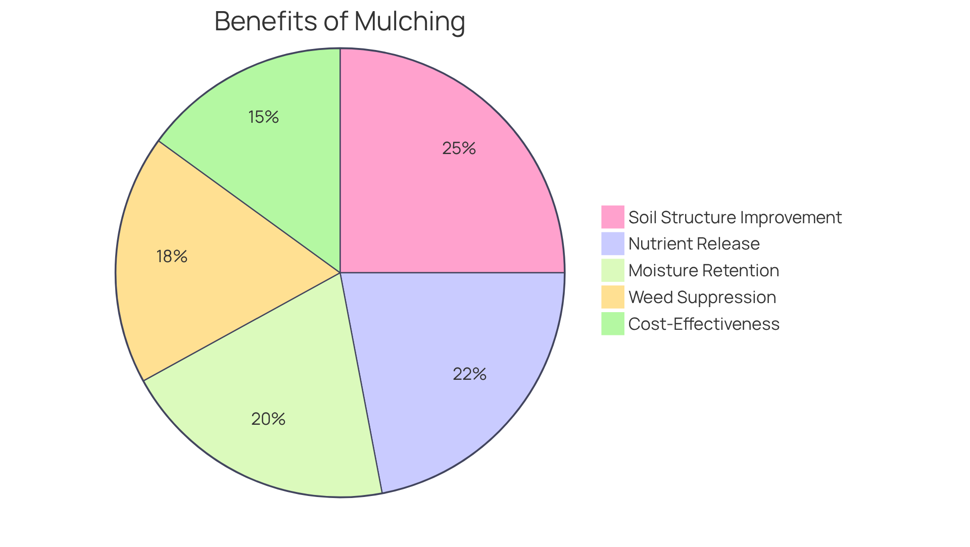 Each slice of the pie shows a different benefit of mulching. The bigger the slice, the more significant that benefit is for enhancing soil health. This helps you see how mulching contributes to better landscaping and agricultural outcomes.