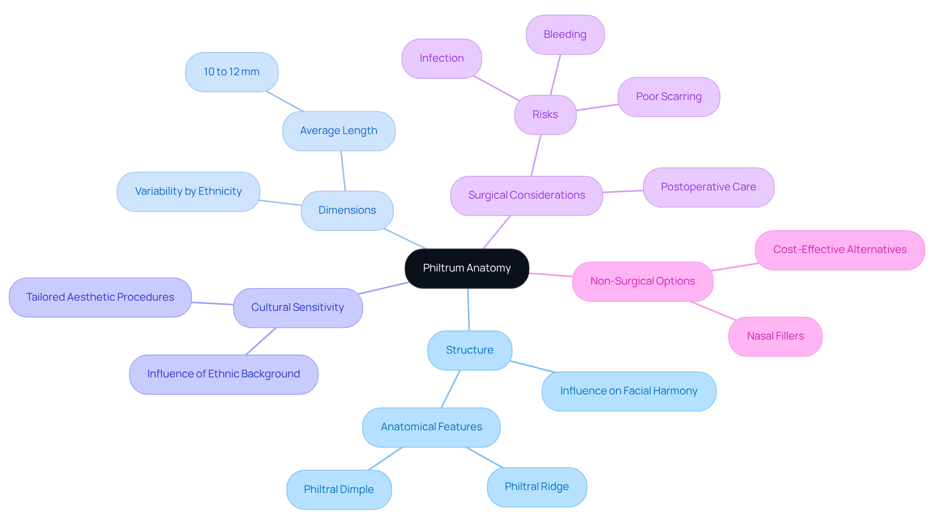 This mindmap starts with the philtrum at the center, branching out to show its structure, dimensions, and how it relates to cosmetic procedures. Each branch represents a different aspect of the philtrum, helping you see how they connect and contribute to overall facial aesthetics.