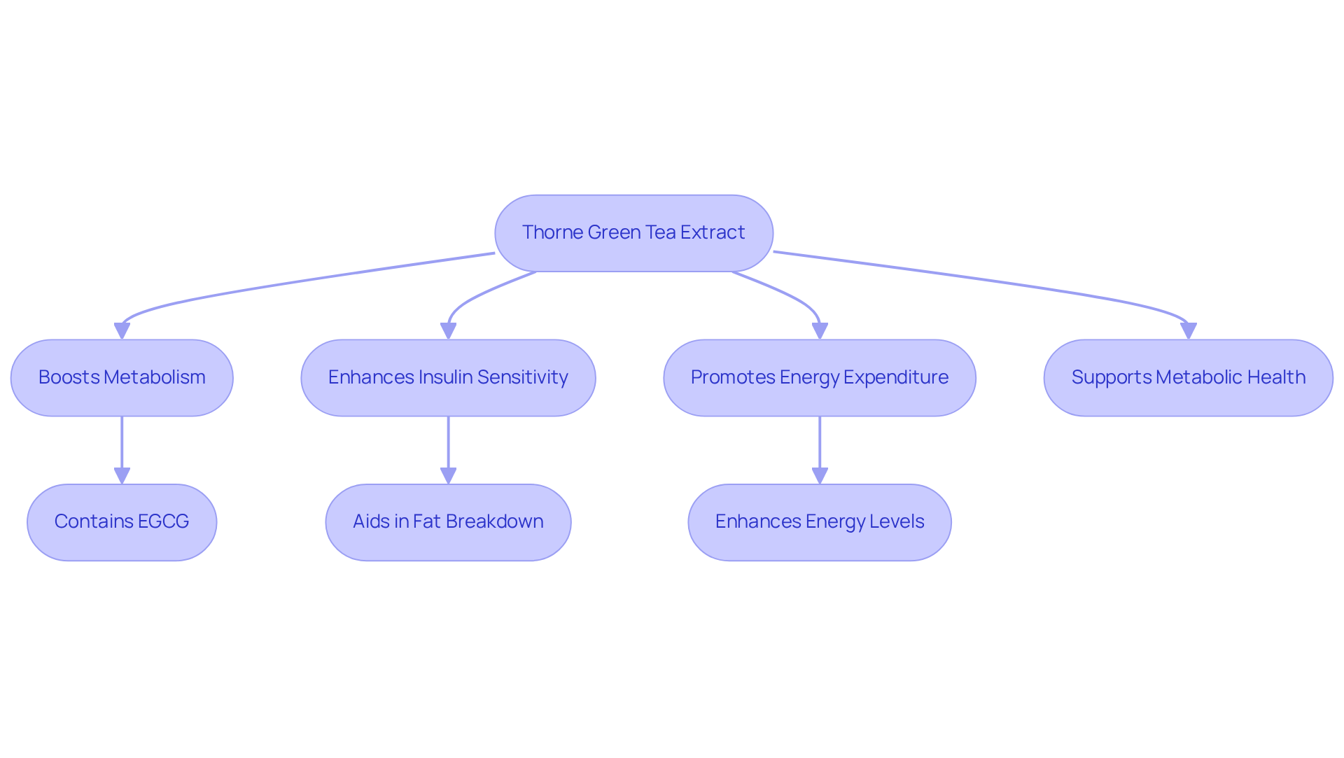 This flowchart illustrates how Thorne Green Tea Extract can support your weight loss journey. Start with the extract, and follow the arrows to see how it boosts metabolism, enhances insulin sensitivity, promotes energy, and supports overall metabolic health.