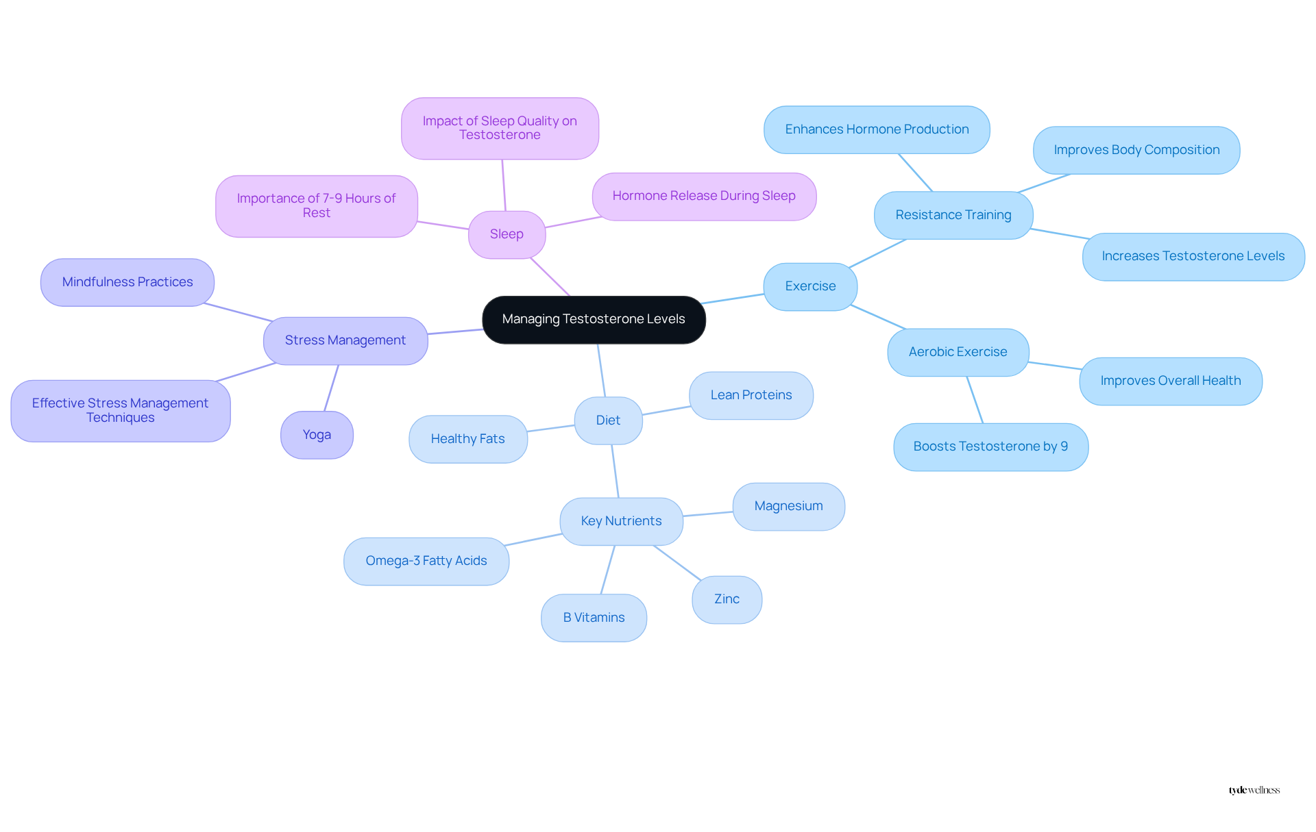 The central node represents the main topic. Each branch shows a lifestyle factor that affects hormone levels, with further details underneath, helping you understand how each area contributes to hormonal health. The central node represents the main topic. Each branch shows a lifestyle factor that affects hormone levels, with further details underneath, helping you understand how each area contributes to hormonal health.