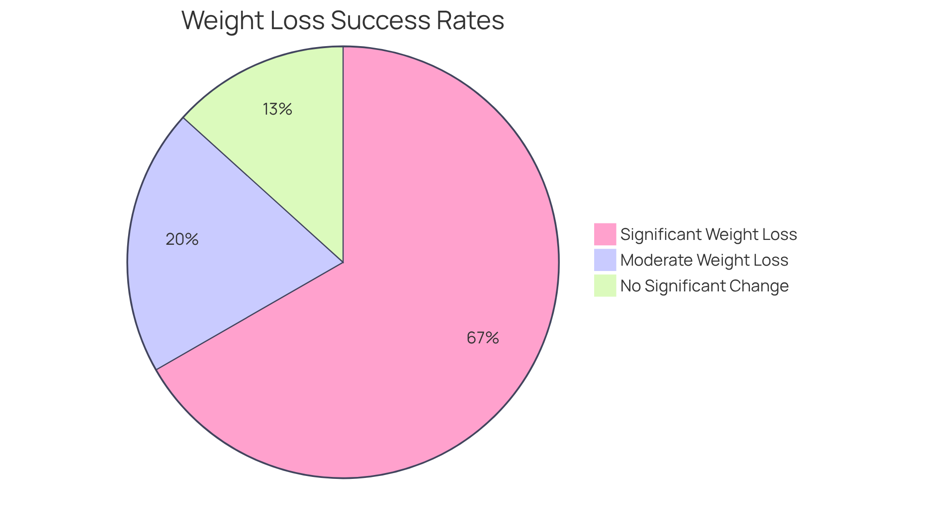 This pie chart shows how many participants achieved significant weight loss compared to those who had moderate success or no change. The larger the slice, the more people experienced that outcome, highlighting the effectiveness of the program. This pie chart shows how many participants achieved significant weight loss compared to those who had moderate success or no change. The larger the slice, the more people experienced that outcome, highlighting the effectiveness of the program.