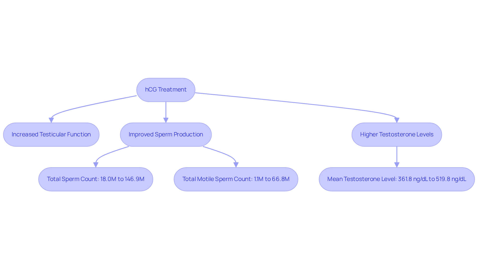 Follow the arrows to see how hCG treatment leads to better testicular function and sperm production. Each box shows a key step or outcome, with numbers highlighting the improvements. Follow the arrows to see how hCG treatment leads to better testicular function and sperm production. Each box shows a key step or outcome, with numbers highlighting the improvements.