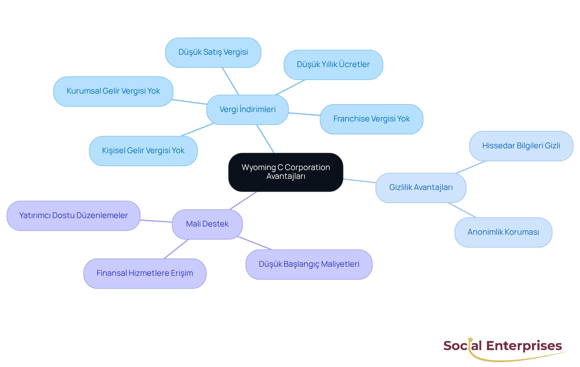 Merkezde Wyoming C Corporation'larının avantajları var. Dallar, bu avantajları temsil ediyor. Her dalın altında daha spesifik bilgiler yer alıyor. Renkler, konuların çeşitliliğini ve önemini vurguluyor.