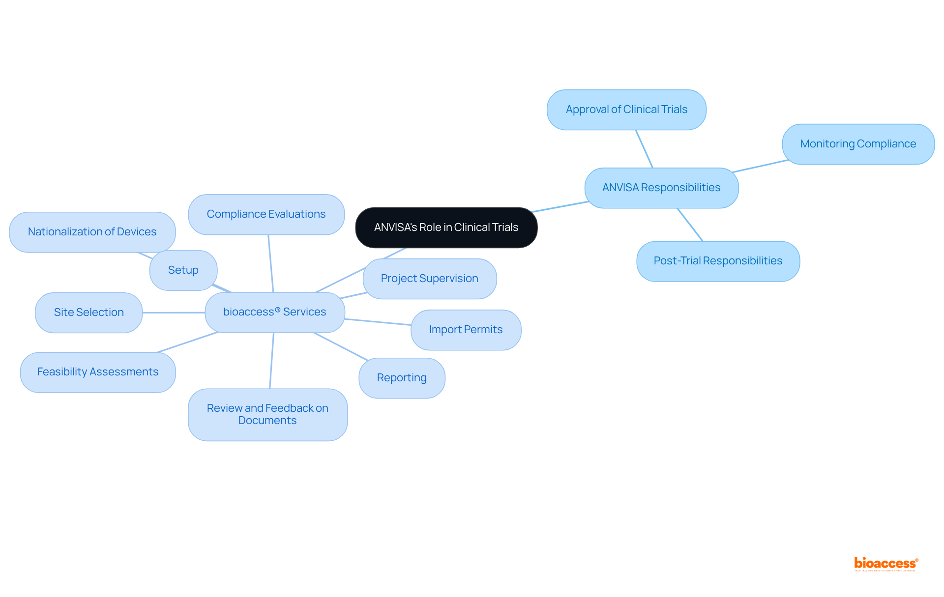 The central node is ANVISA's role, with branches showing their main responsibilities and the services offered by bioaccess®. Each branch represents a key aspect, making it easy to see how they connect.