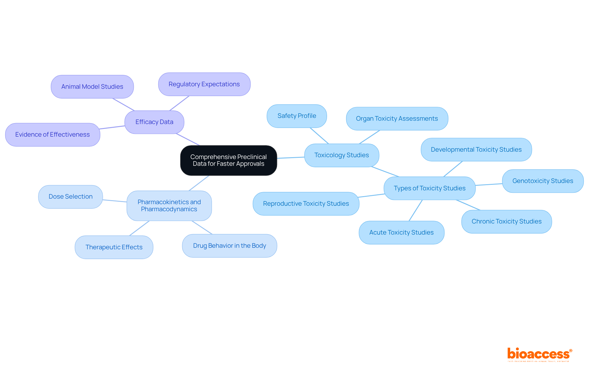 Start at the center with the main idea, then follow the branches to explore each category of preclinical data and its importance in speeding up the approval process.
