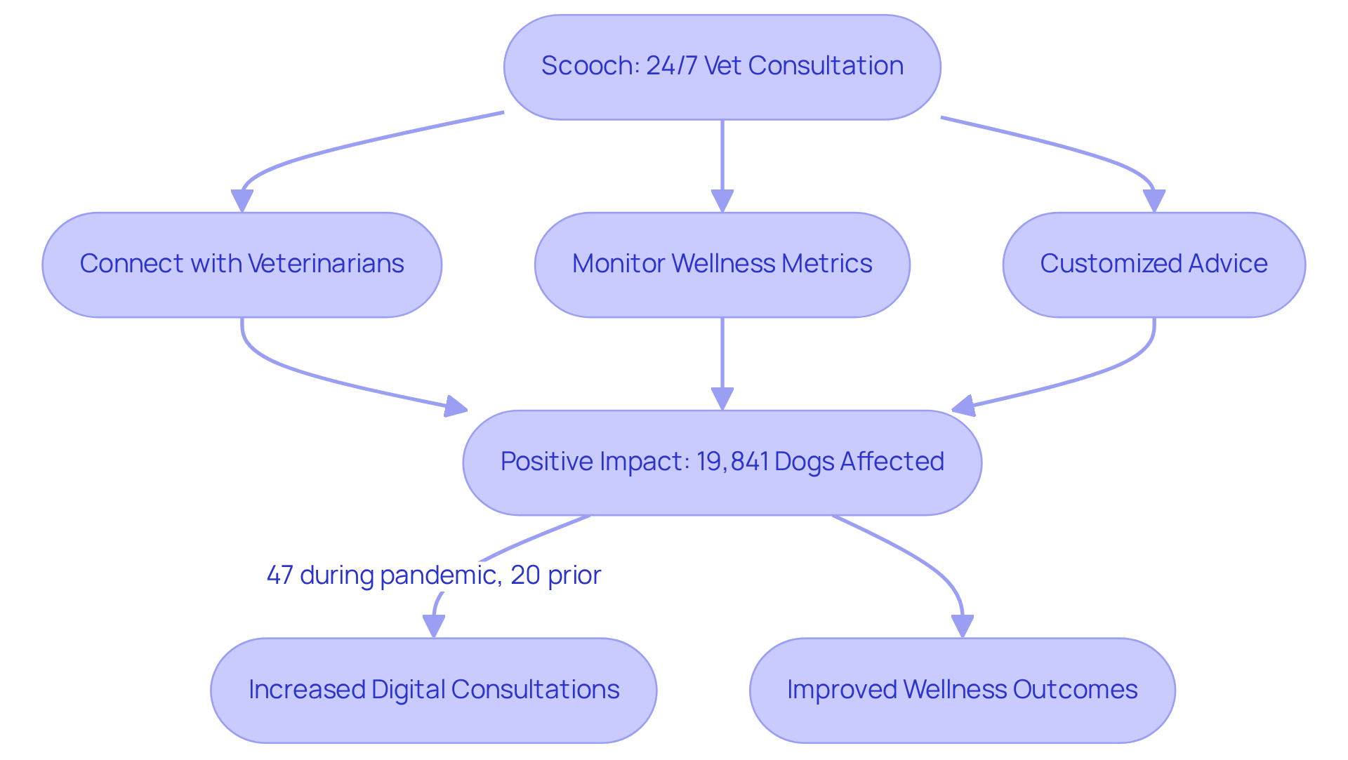 This chart shows the steps involved in using Scooch’s services. Starting from 24/7 consultations, see how each step contributes to the overall health of pets, with statistics showing the increase in digital consultations during the pandemic.
