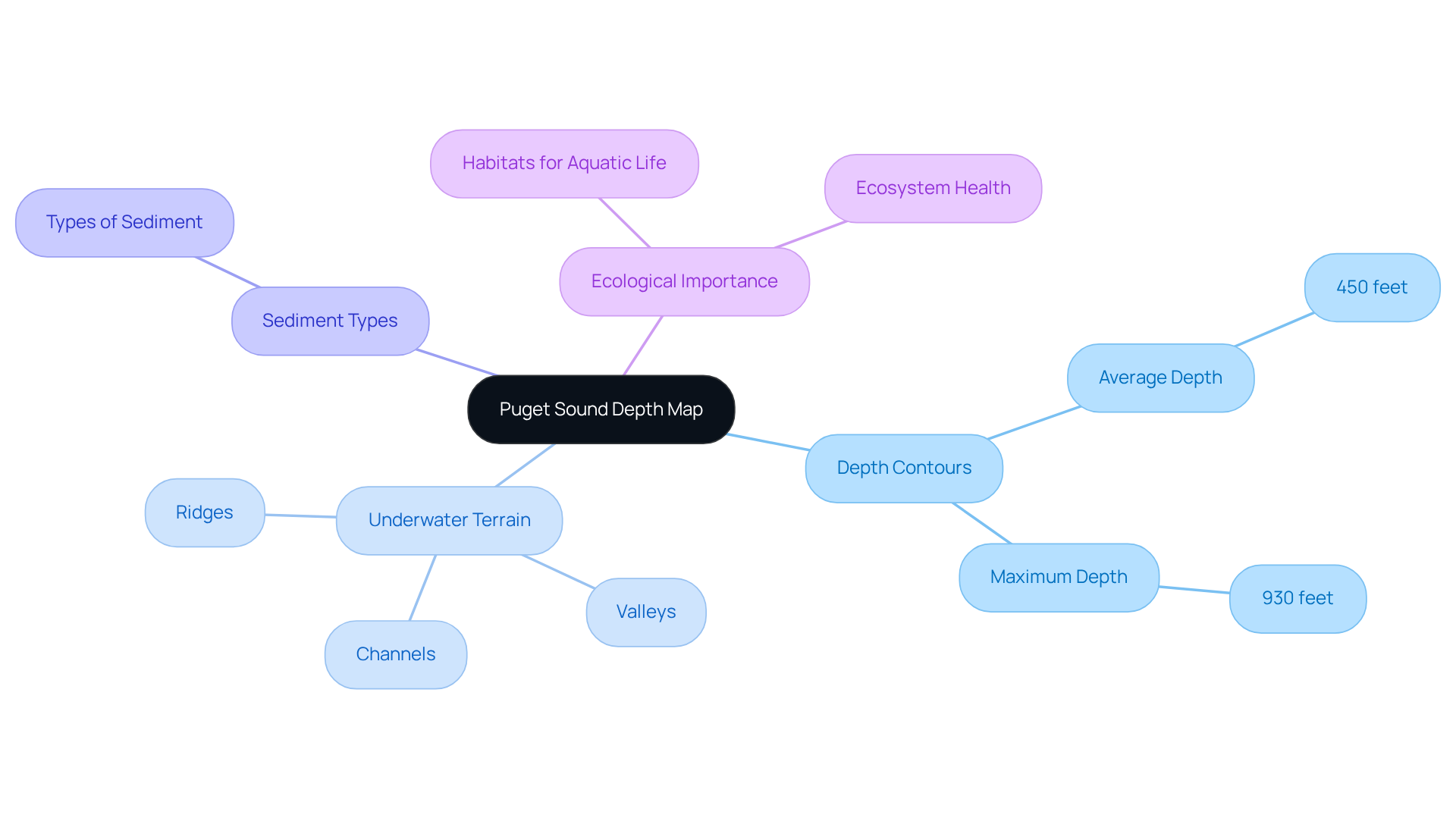 The center represents the Puget Sound Depth Map, and the branches illustrate different features and their significance. Each color-coded branch helps you easily navigate through the important aspects of the map.