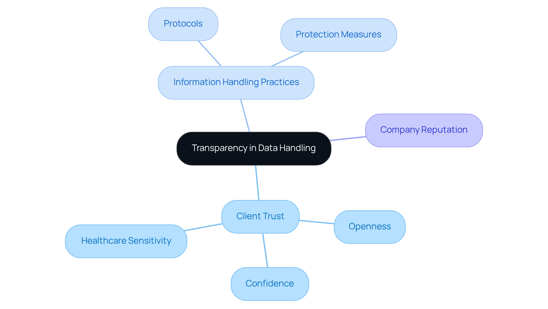 The center represents the main idea of transparency, with branches showing how it relates to trust, handling practices, and reputation. Each branch highlights important aspects that contribute to building trust with clients.