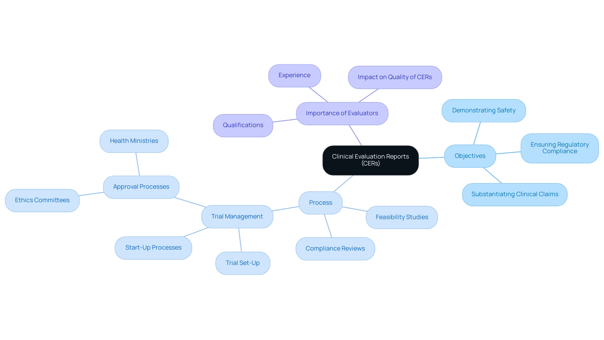 Color-coded branches represent different aspects of CERs: Objectives (blue), Processes (green), and Importance of Evaluators (orange).