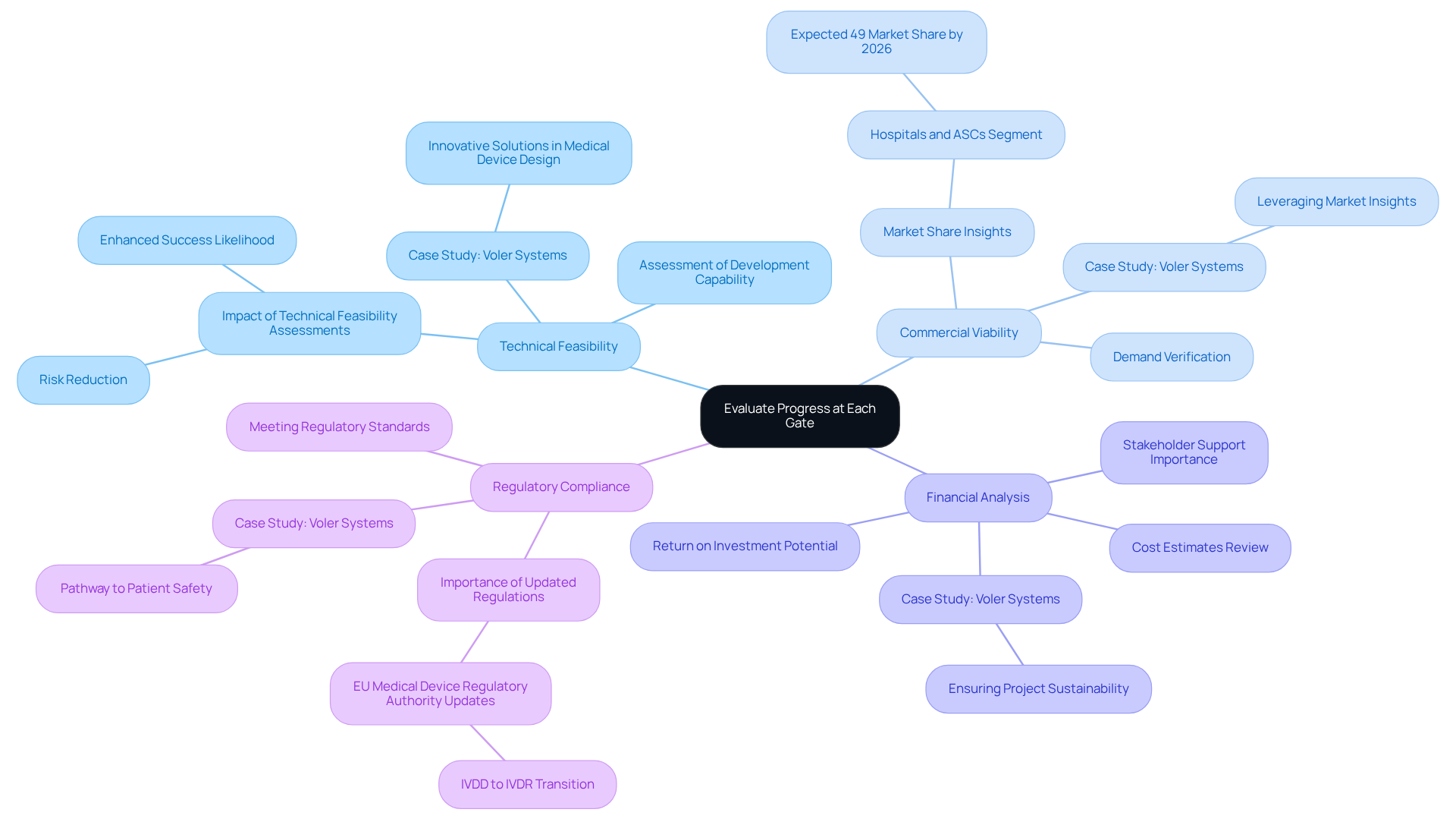 The central node represents the overall evaluation process, while the branches show the key areas of focus. Each area is crucial for determining whether a project moves forward, needs more work, or is halted.
