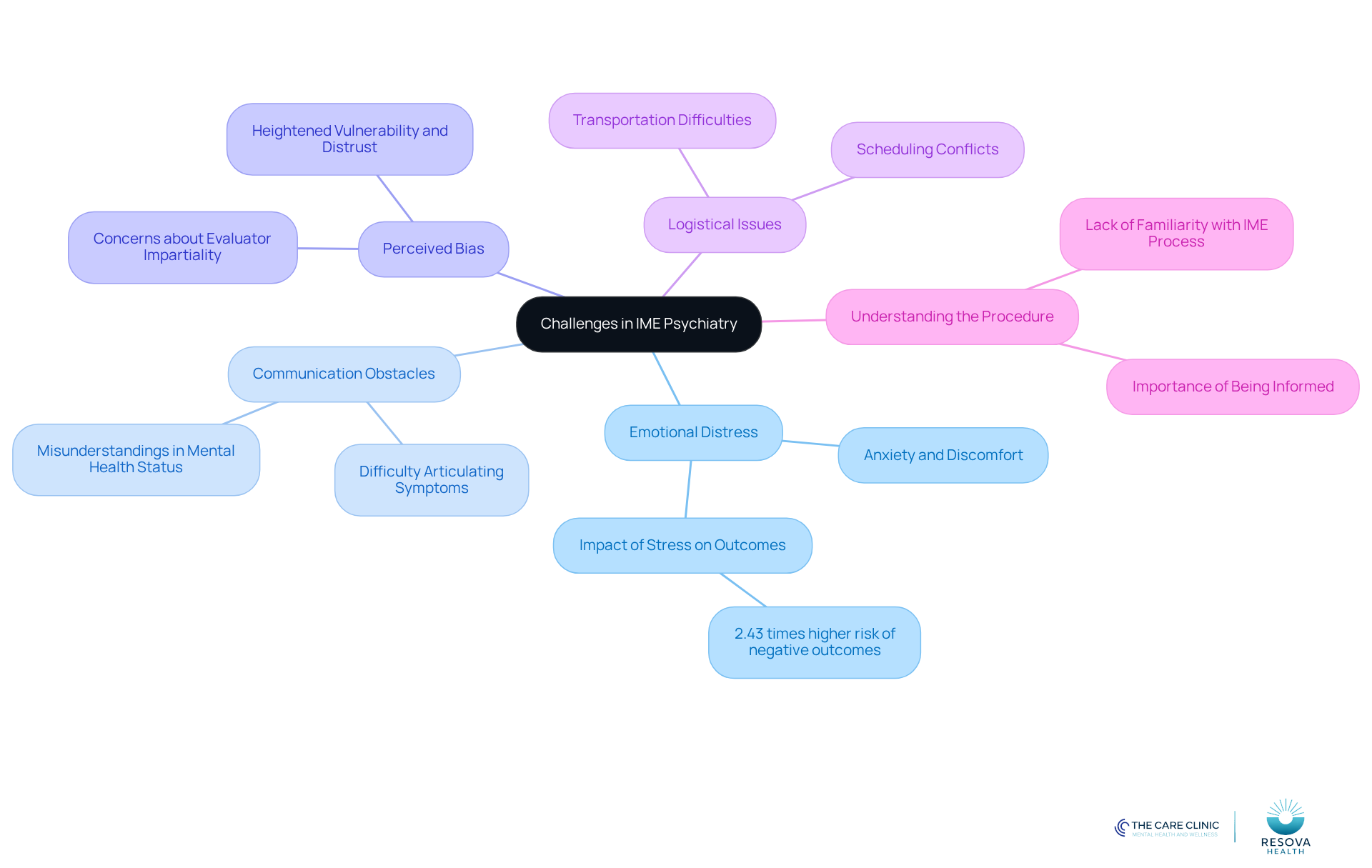 The central node represents the overall theme of challenges in the IME process. Each branch highlights a specific challenge, and sub-branches can provide further insights or examples related to that challenge. The central node represents the overall theme of challenges in the IME process. Each branch highlights a specific challenge, and sub-branches can provide further insights or examples related to that challenge.