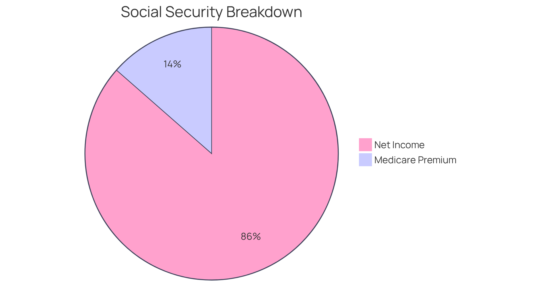 This pie chart shows how much of your Social Security benefit goes towards Medicare premiums and how much you have left. The blue slice represents the premium deducted, while the green slice shows your remaining income.