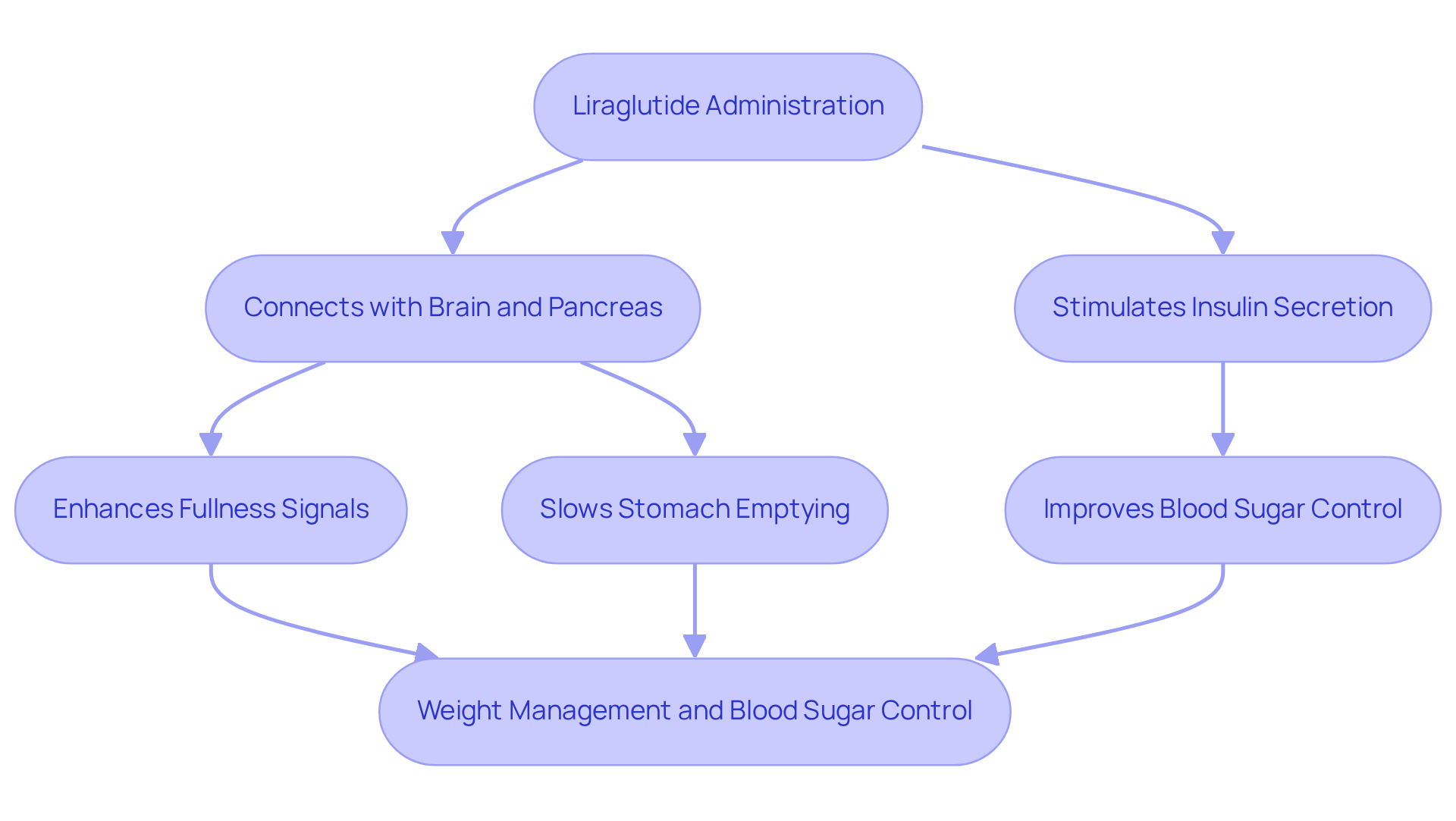 This flowchart shows how liraglutide works in your body. Start at the top with the medication's administration, then follow the arrows to see how it connects with your brain and pancreas, stimulates insulin, and ultimately helps with weight management and blood sugar control.