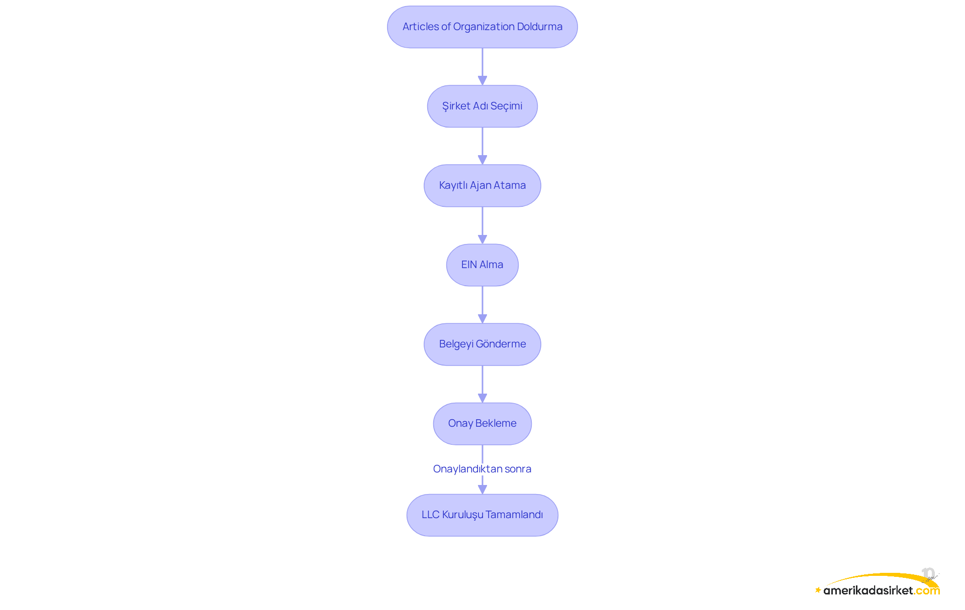 Her kutu, LLC kurma sürecindeki bir adımı temsil eder. Oklar, adımlar arasındaki akışı gösterir - süreci takip ederek hangi adımın ne zaman yapılacağını görebilirsiniz.