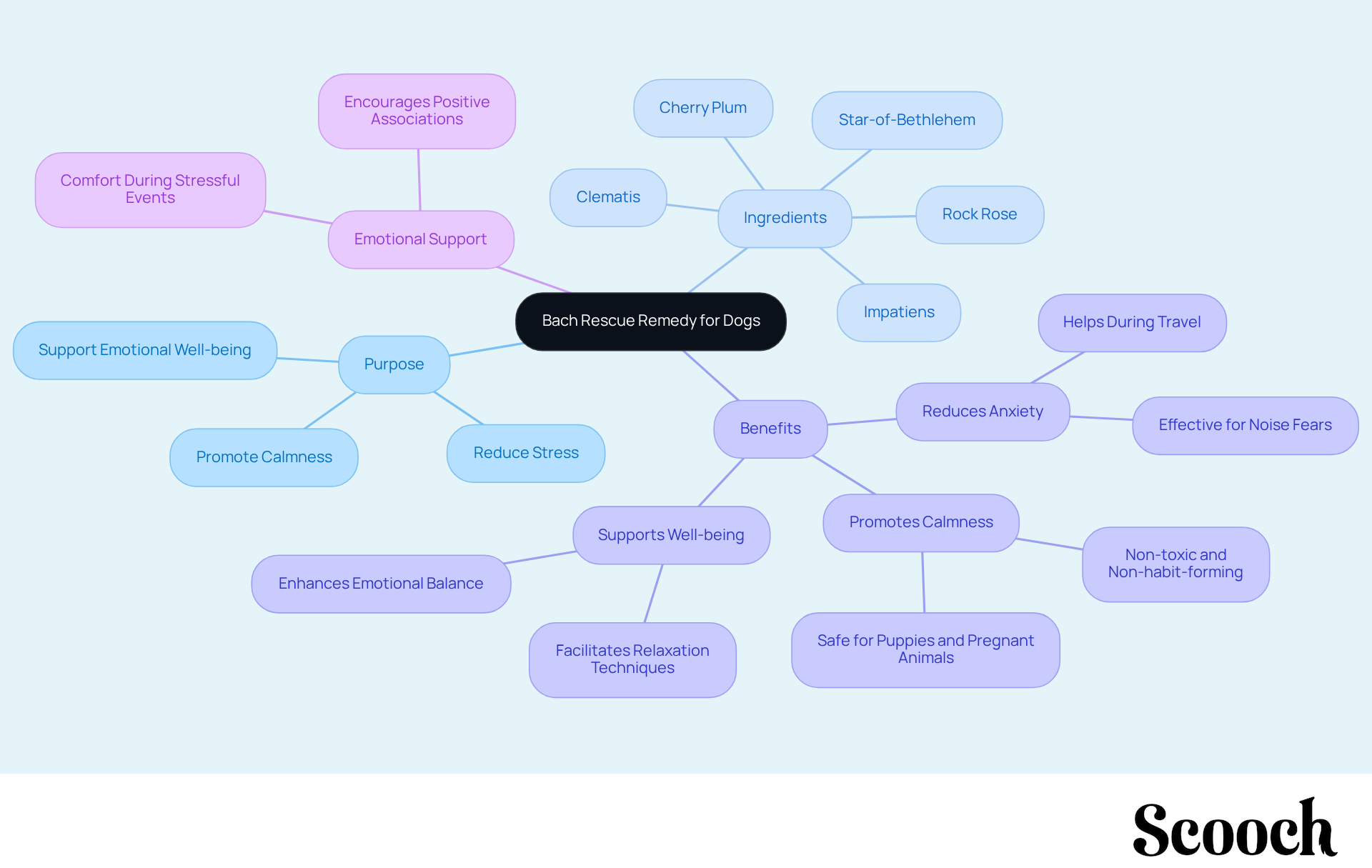 The center shows the product, and the branches illustrate its purpose, ingredients, and how it helps dogs feel calm and secure. Follow the branches to explore each aspect.
