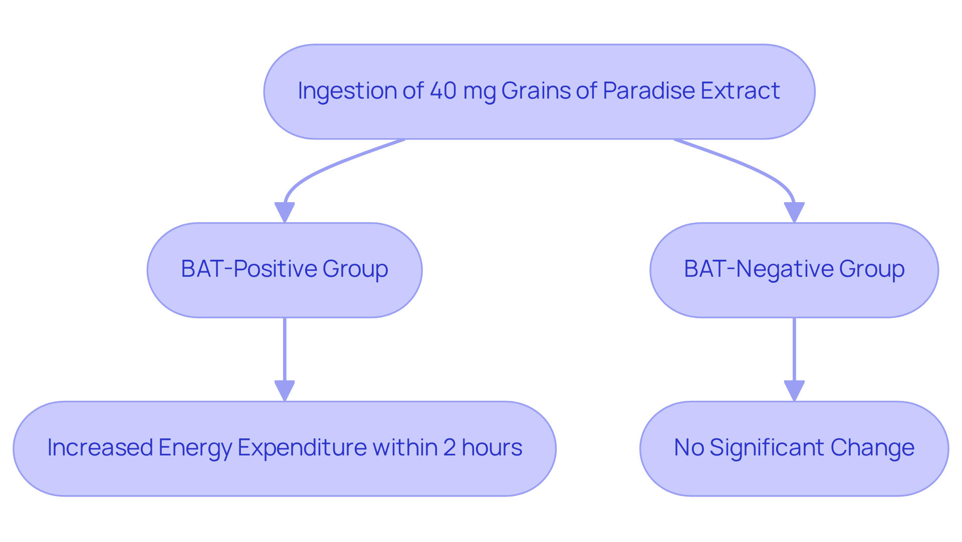 This flowchart illustrates how ingesting grains of paradise affects energy expenditure in different groups. The positive group shows an increase in energy, while the negative group does not change, helping you visualize the impact of this supplement on fat burning. This flowchart illustrates how ingesting grains of paradise affects energy expenditure in different groups. The positive group shows an increase in energy, while the negative group does not change, helping you visualize the impact of this supplement on fat burning.