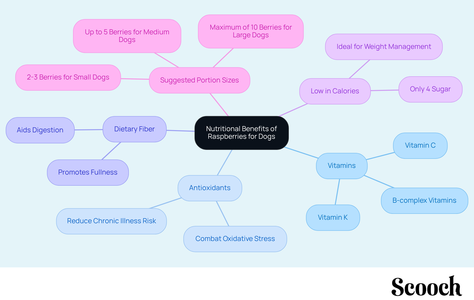 The central node represents the overall topic, while the branches show specific benefits and guidelines. Each category highlights important information about how raspberries can be a healthy treat for dogs. The central node represents the overall topic, while the branches show specific benefits and guidelines. Each category highlights important information about how raspberries can be a healthy treat for dogs.