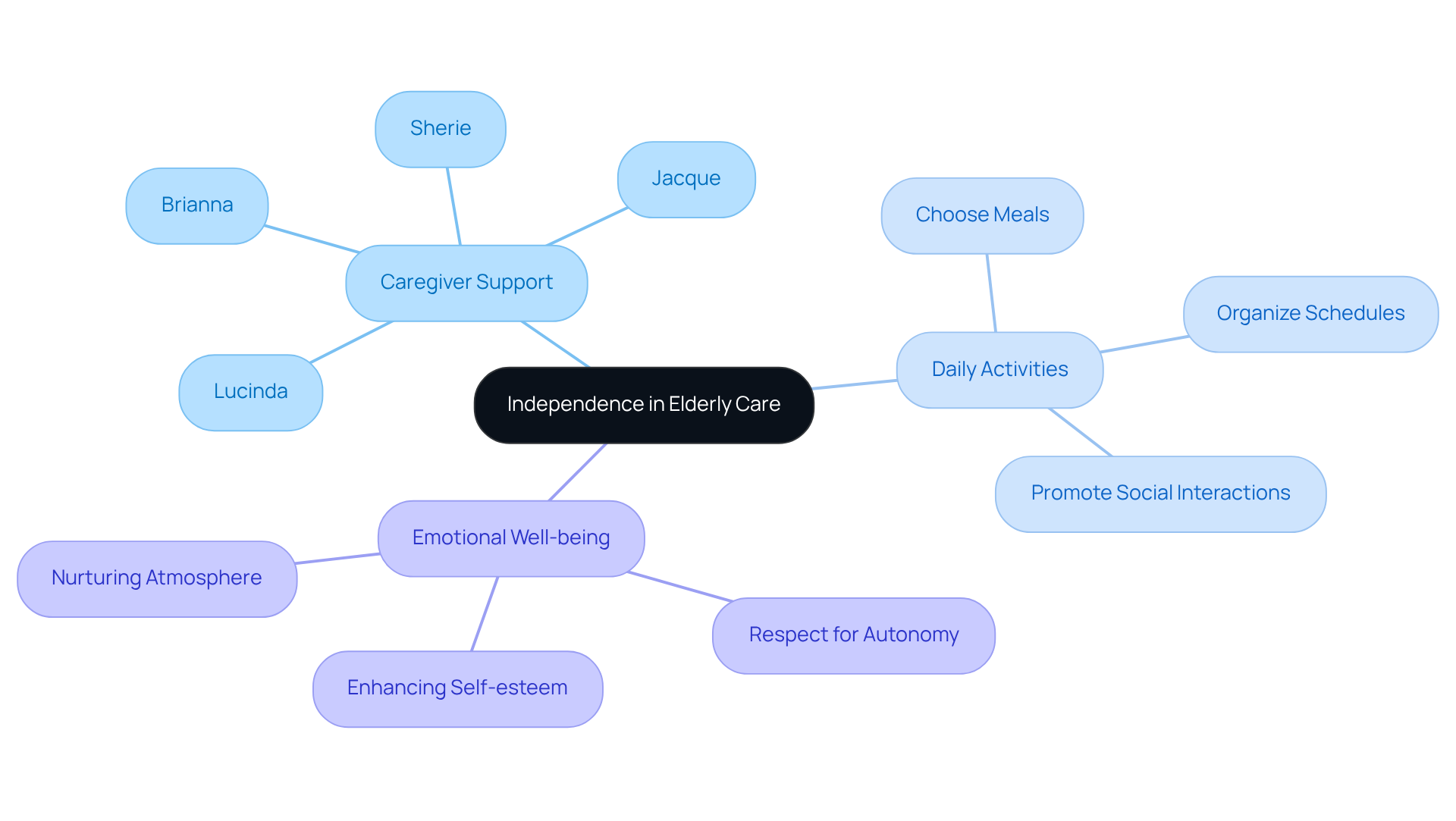 At the center, we focus on the independence of elderly individuals, with branches showing how caregivers and daily choices help maintain this independence. Each color represents a different aspect of support, making it easy to see how they all connect.