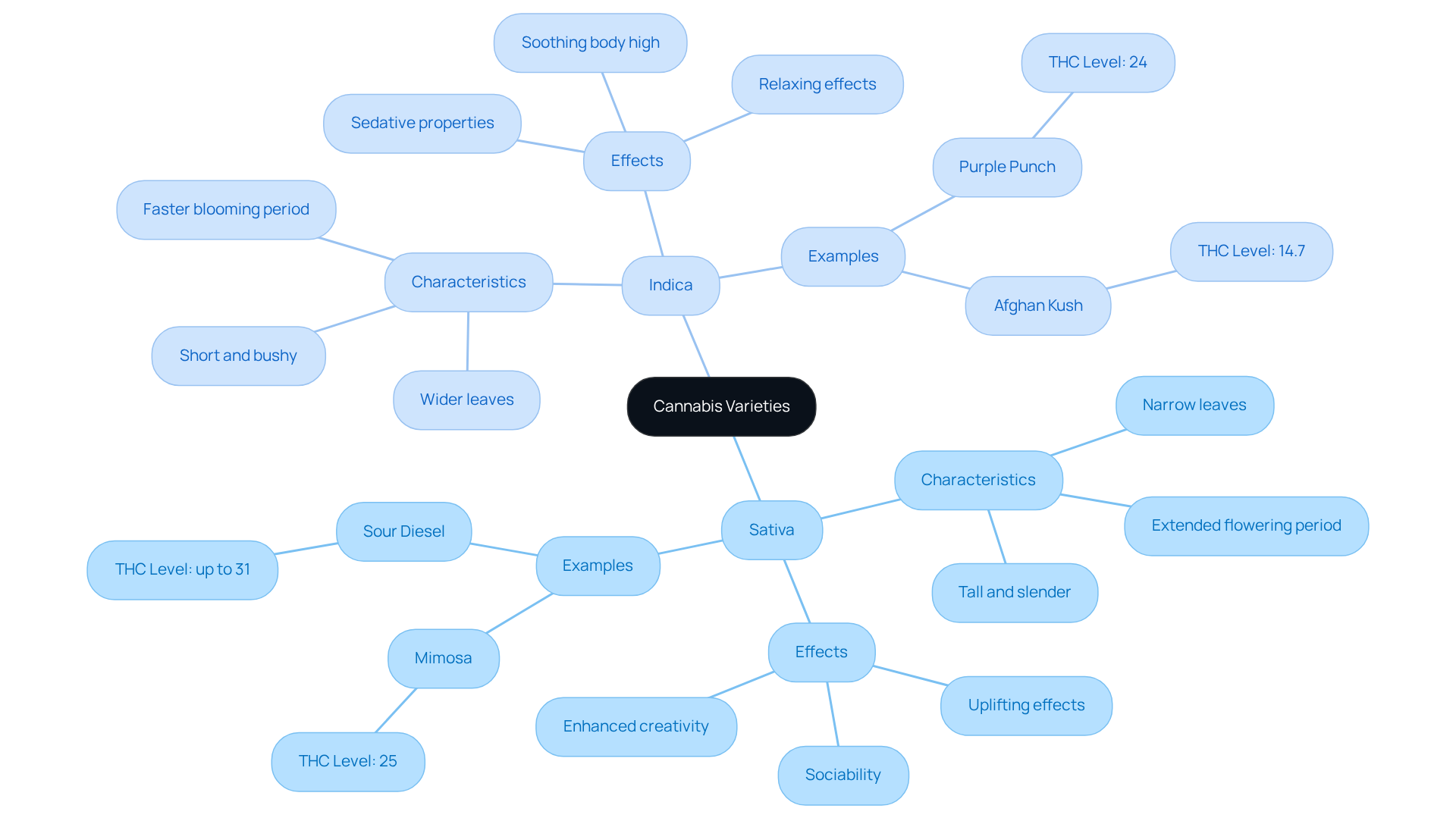 The mindmap starts with cannabis varieties in the center, branching out to show the key traits of Sativa and Indica. Each branch leads to characteristics, effects, and examples, helping you visualize how they differ and relate. The mindmap starts with cannabis varieties in the center, branching out to show the key traits of Sativa and Indica. Each branch leads to characteristics, effects, and examples, helping you visualize how they differ and relate.