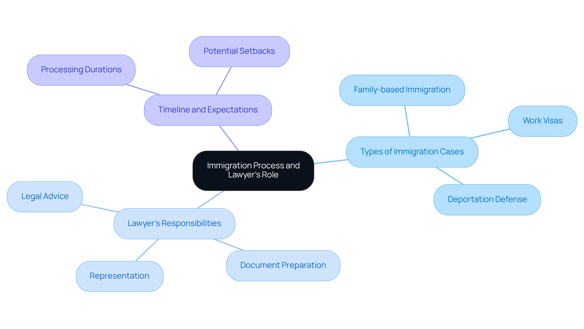 The central node represents the immigration process, while the branches show different aspects you need to understand. Each color-coded branch helps you see how types of cases, lawyer responsibilities, and timelines connect to the overall process.